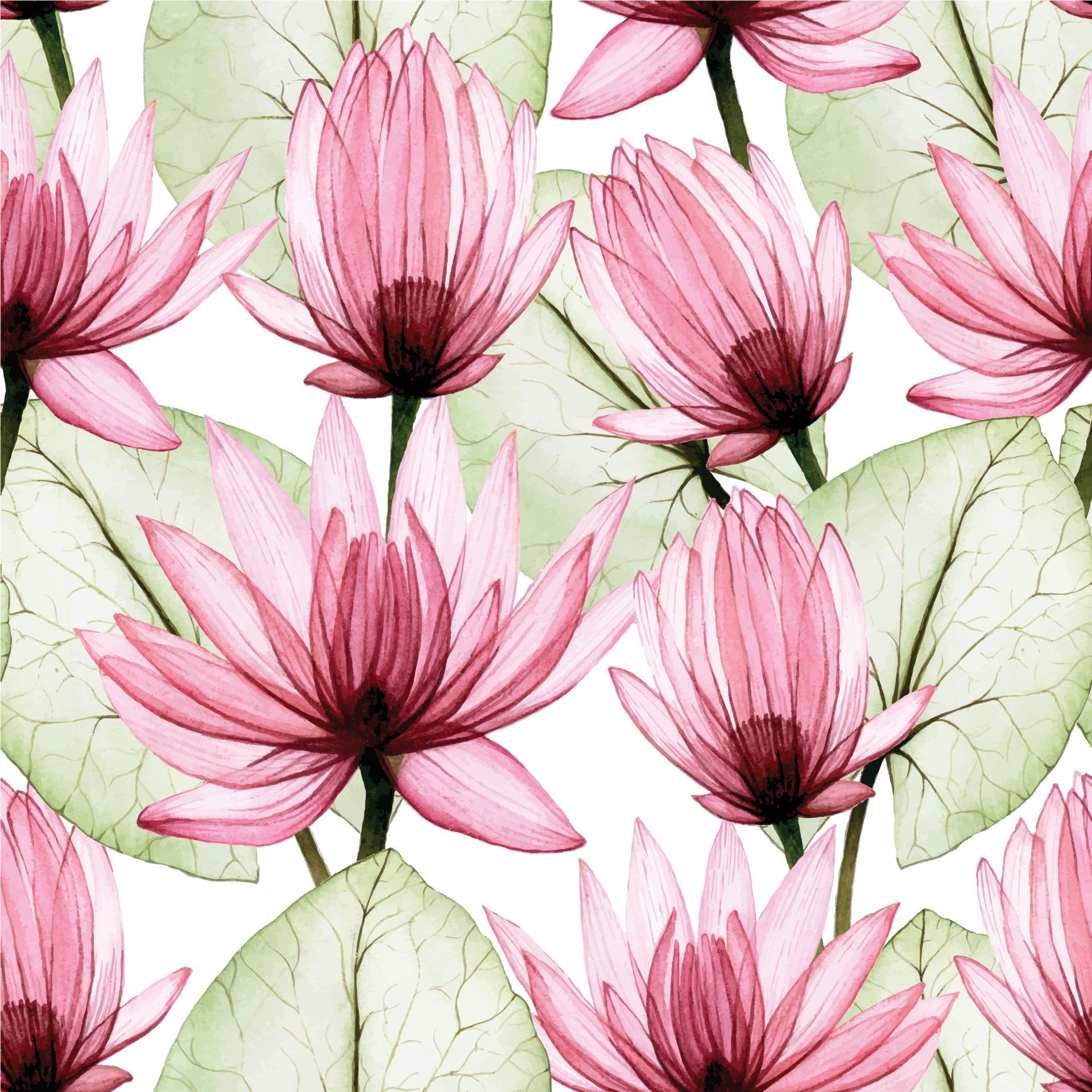 Japanese Art Pink Flower Wallpapers - Top Free Japanese Art Pink Flower ...