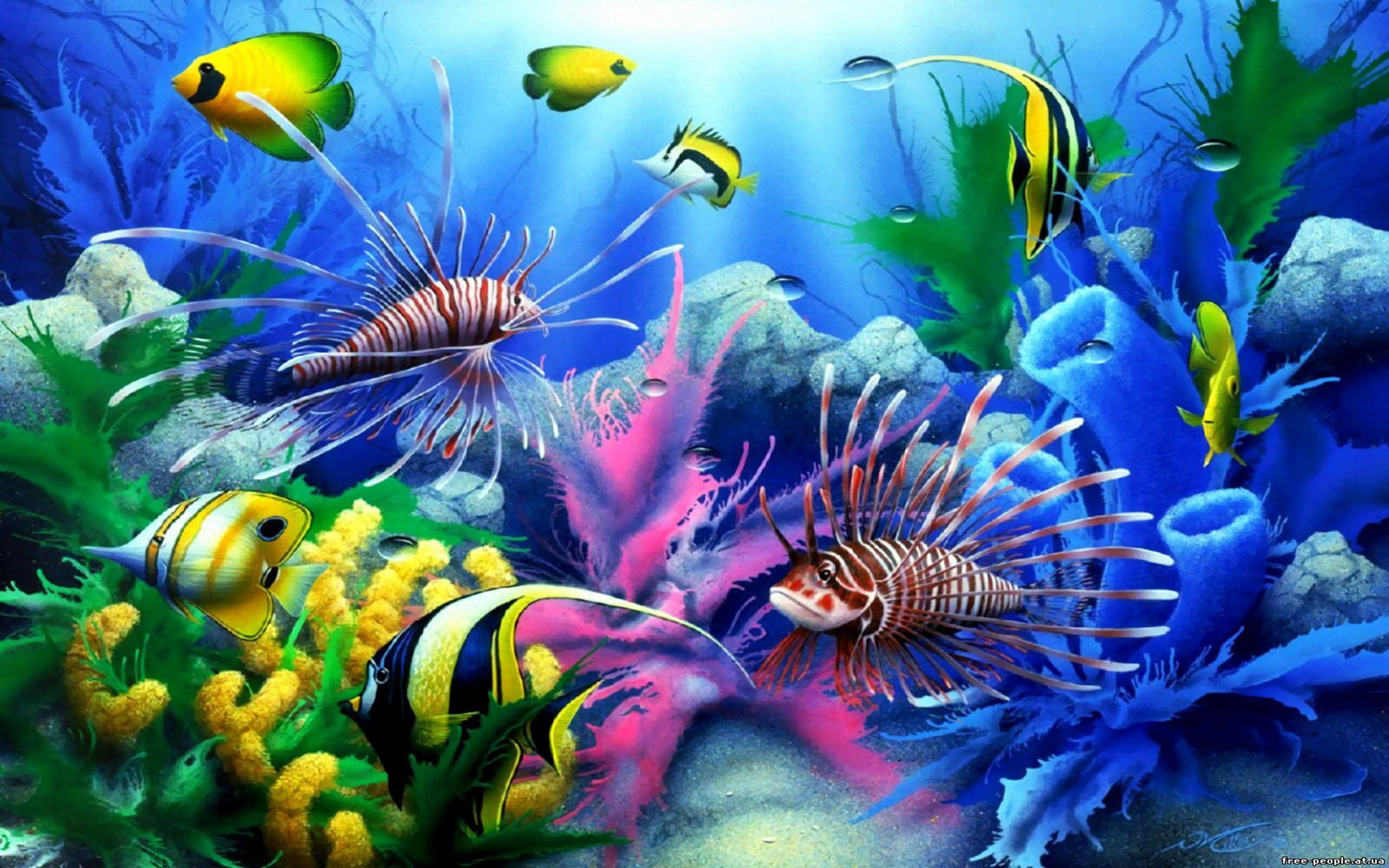 Water Fish Desktop Wallpapers - Top Free Water Fish Desktop Backgrounds ...