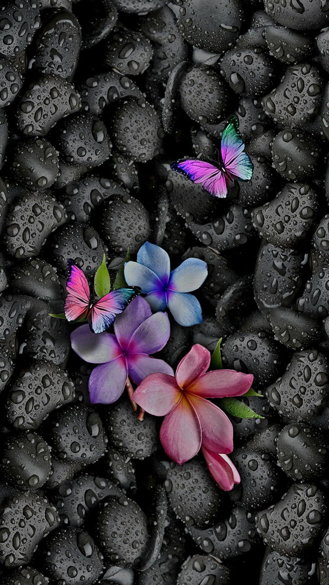 Beautiful Stone Wallpapers - Top Free Beautiful Stone Backgrounds ...