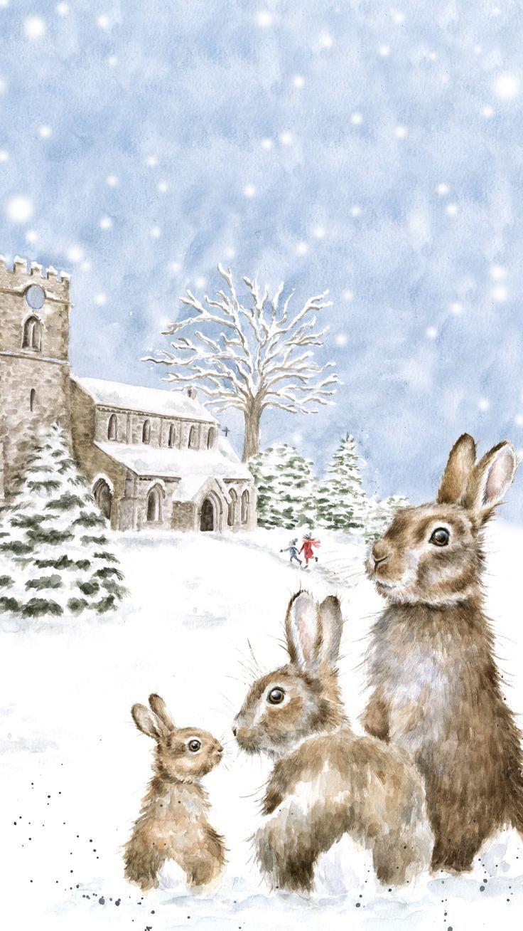 Christmas Bunny Wallpapers - Top Free Christmas Bunny Backgrounds ...