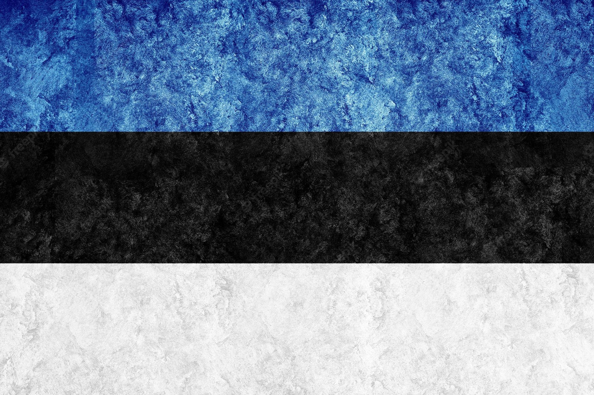 Estonia Flag HD Wallpapers - Top Free Estonia Flag HD Backgrounds ...
