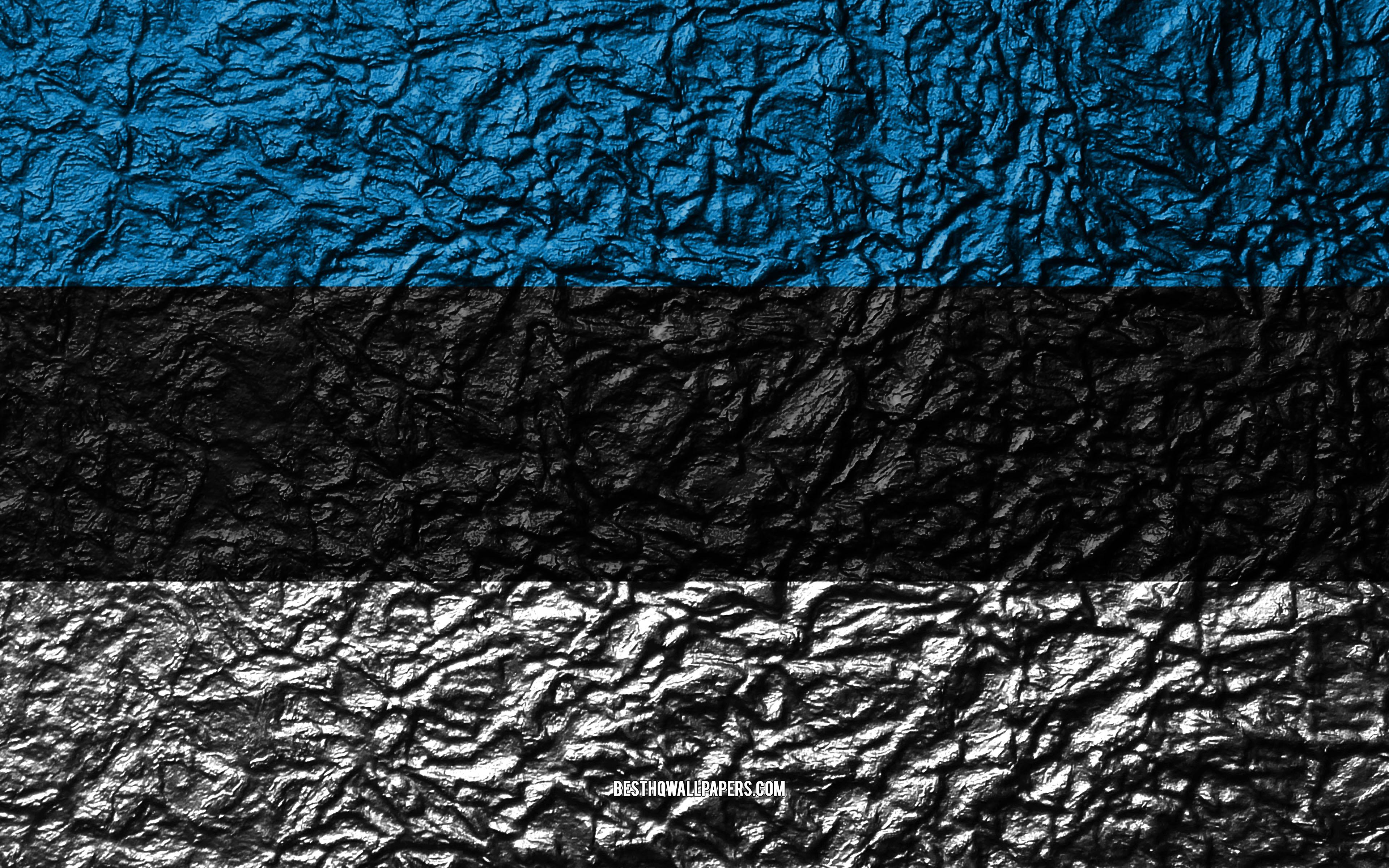 Estonia Flag HD Wallpapers - Top Free Estonia Flag HD Backgrounds - WallpaperAccess