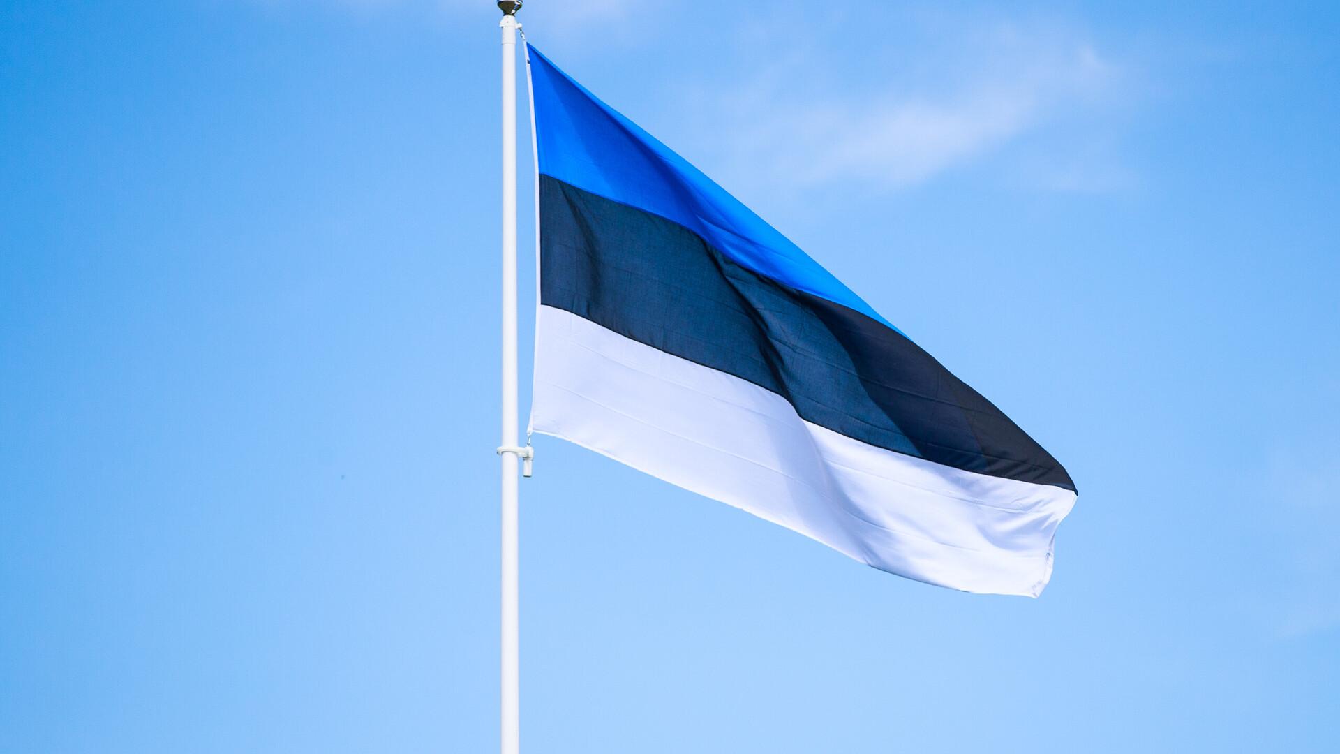 Estonia Flag HD Wallpapers - Top Free Estonia Flag HD Backgrounds - WallpaperAccess