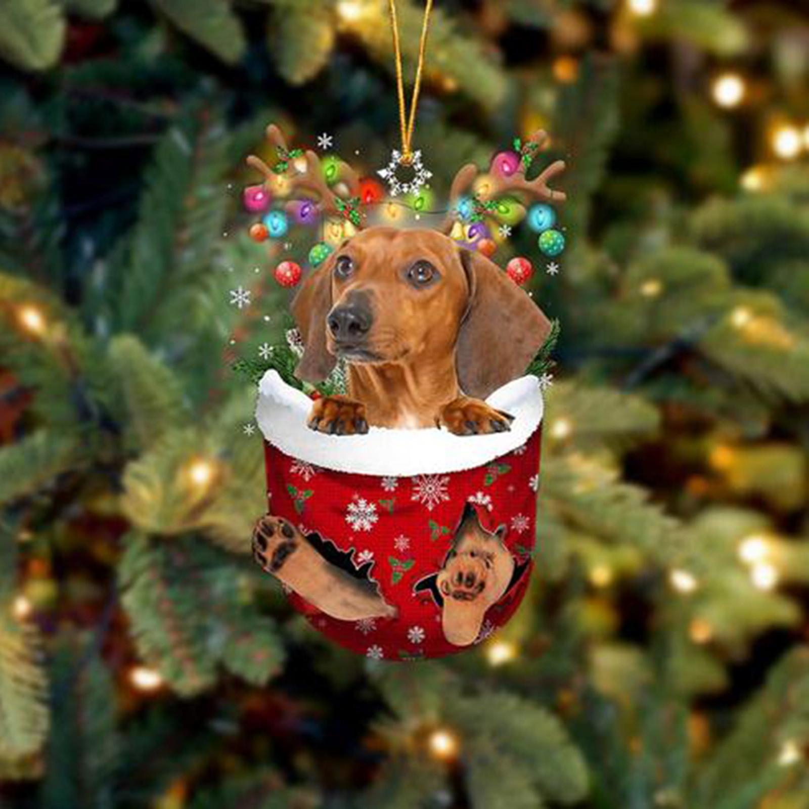 Funny Christmas Dog Wallpapers - Top Free Funny Christmas Dog ...
