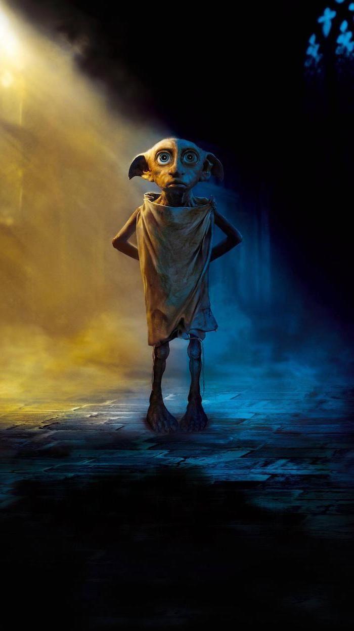 Cute Dobby Wallpapers - Top Free Cute Dobby Backgrounds - WallpaperAccess