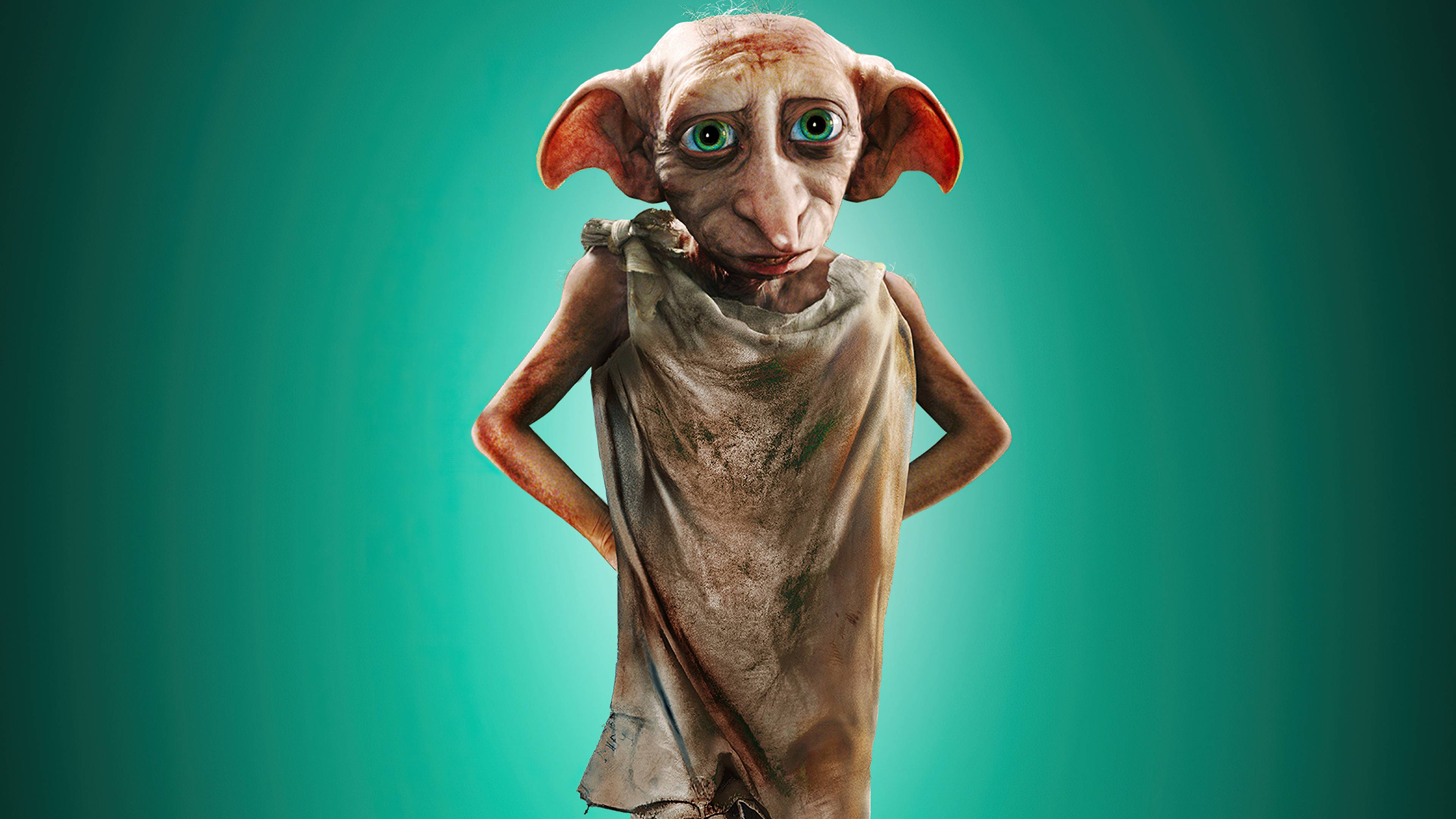 Cute Dobby Wallpapers - Top Free Cute Dobby Backgrounds - WallpaperAccess