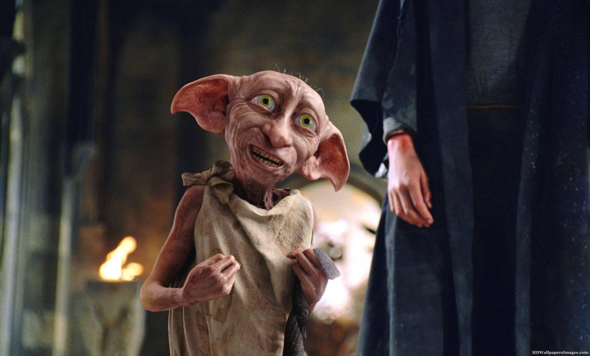 Cute Dobby Wallpapers - Top Free Cute Dobby Backgrounds - WallpaperAccess