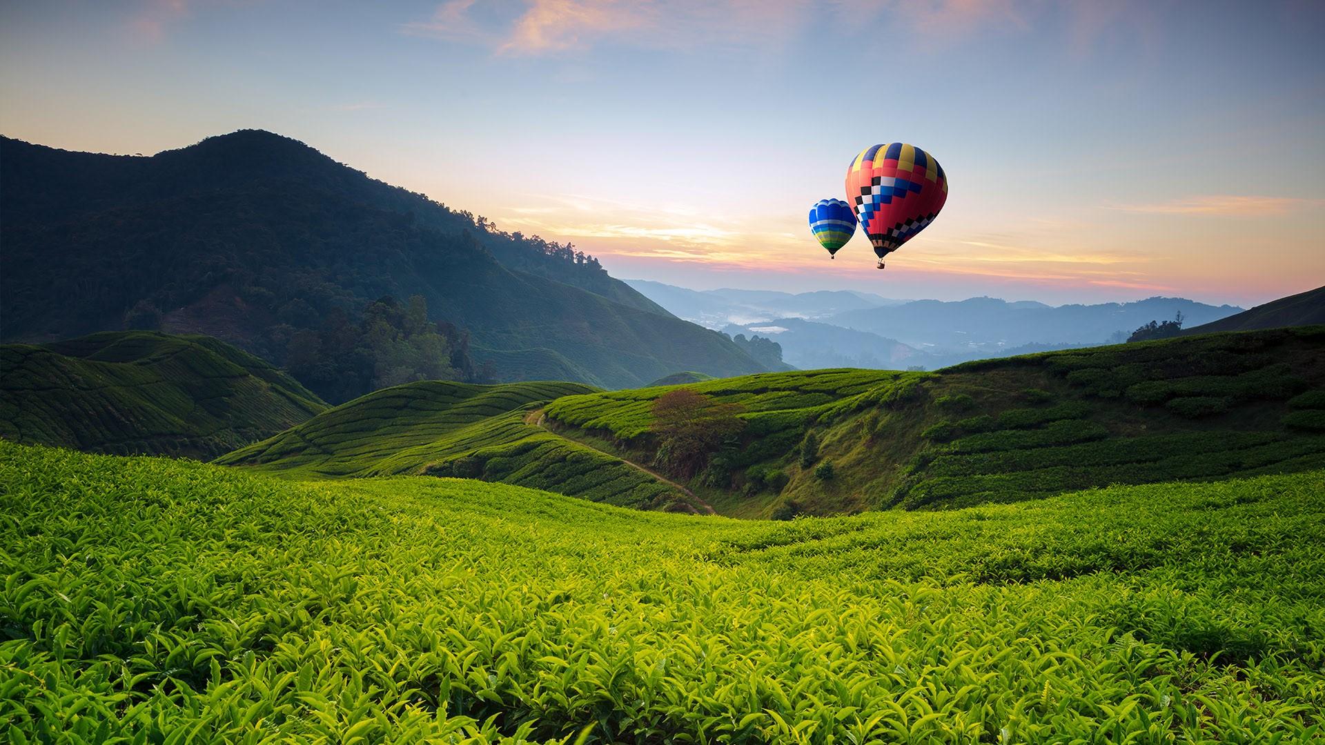 Cameron Highlands Wallpapers Top Free Cameron Highlands Backgrounds Wallpaperaccess