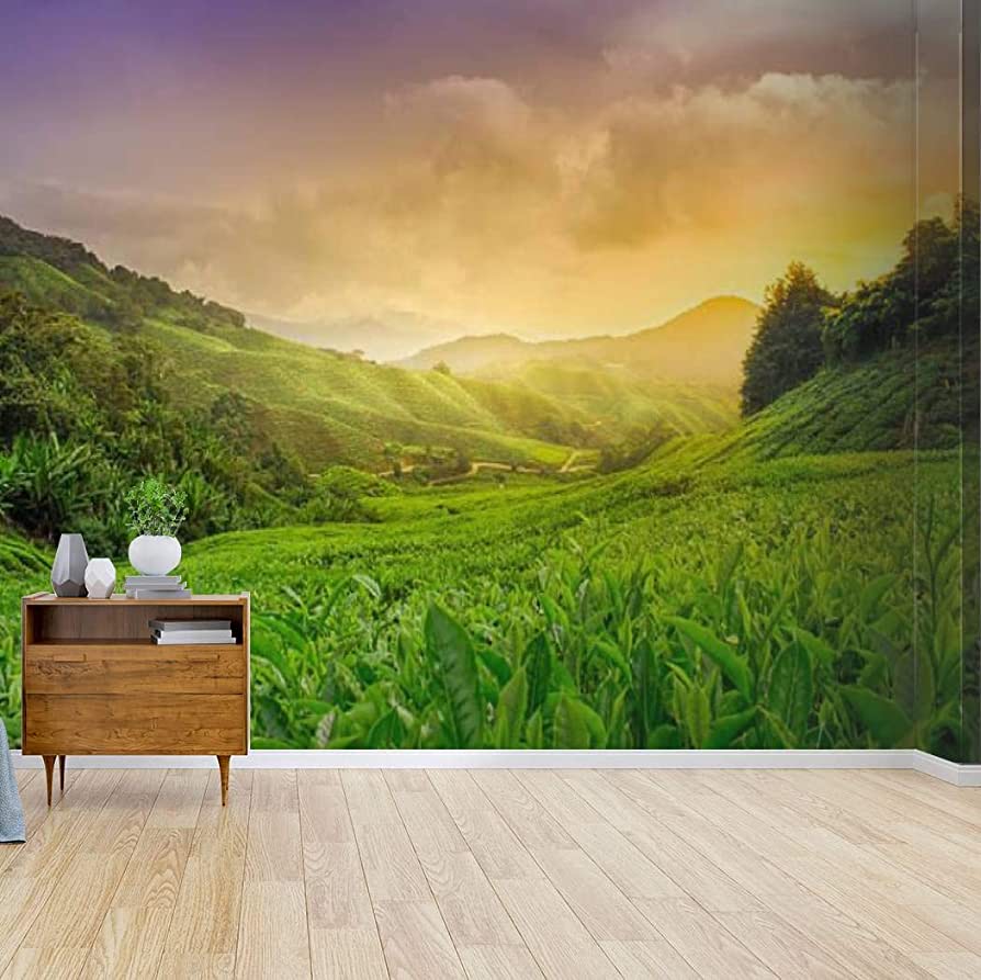 Cameron Highlands Wallpapers - Top Free Cameron Highlands Backgrounds ...