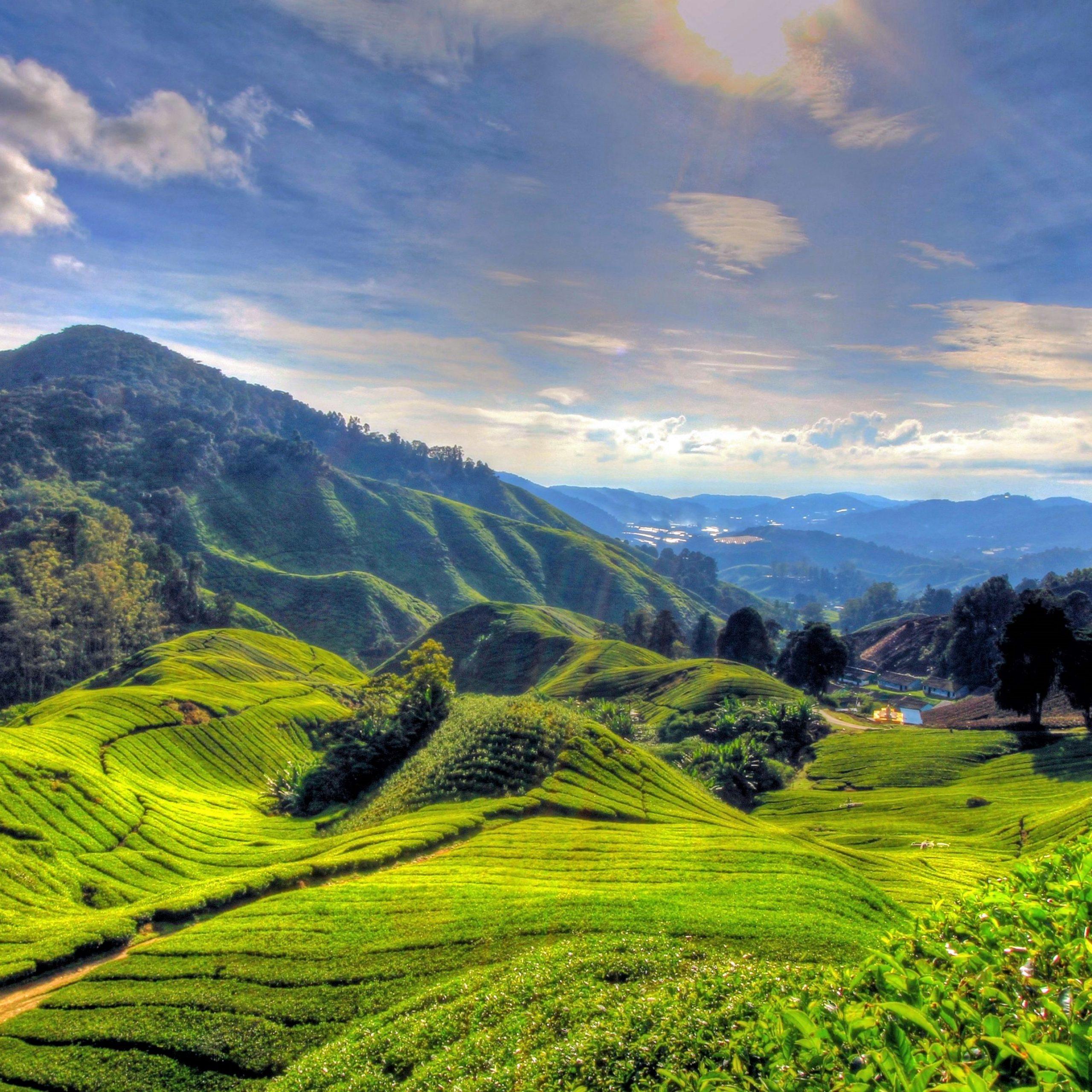 Cameron Highlands Wallpapers - Top Free Cameron Highlands Backgrounds ...