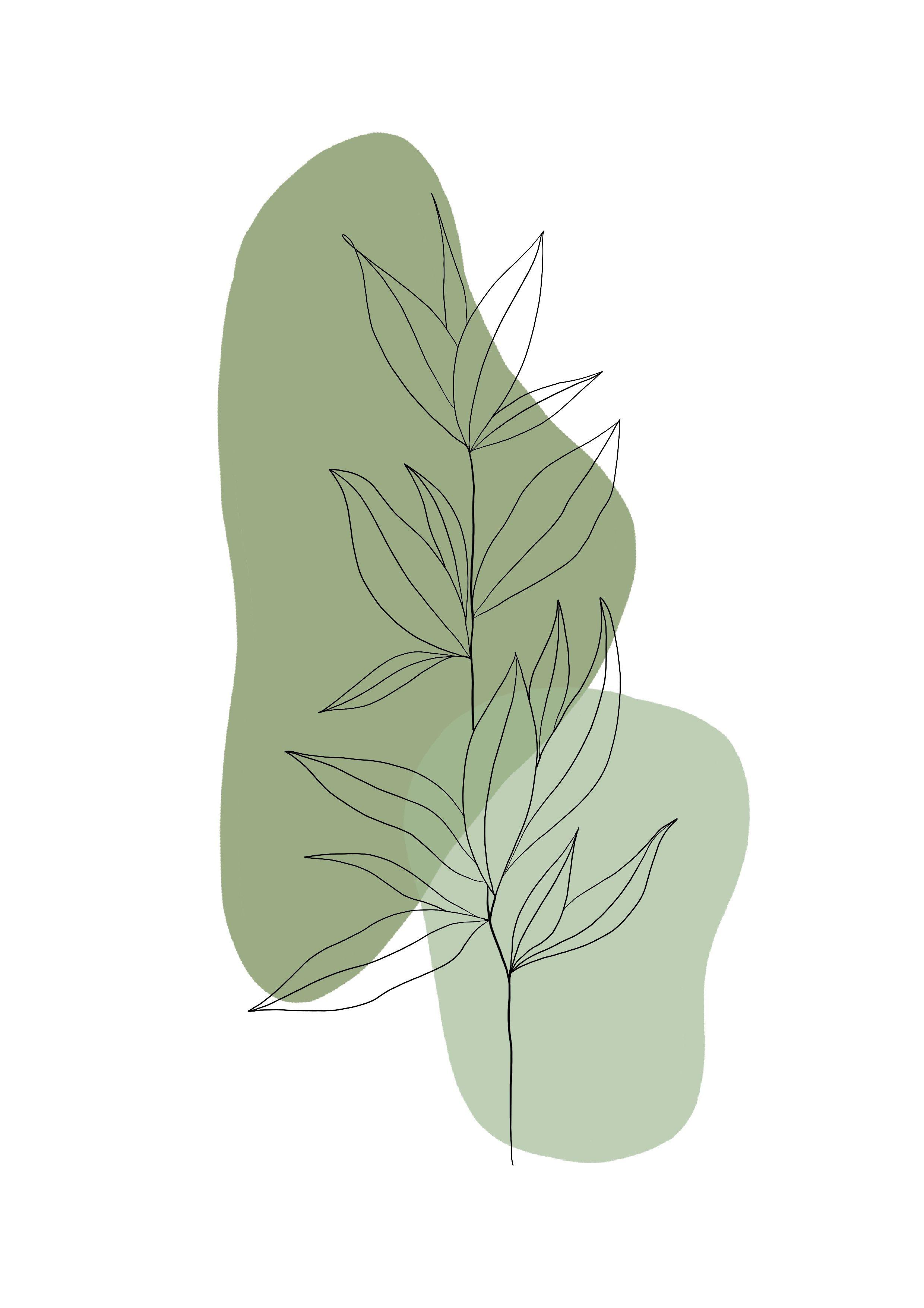 Green Illustration Wallpapers - Top Free Green Illustration Backgrounds ...