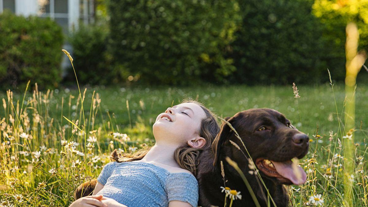 Dog and Human Wallpapers - Top Free Dog and Human Backgrounds ...