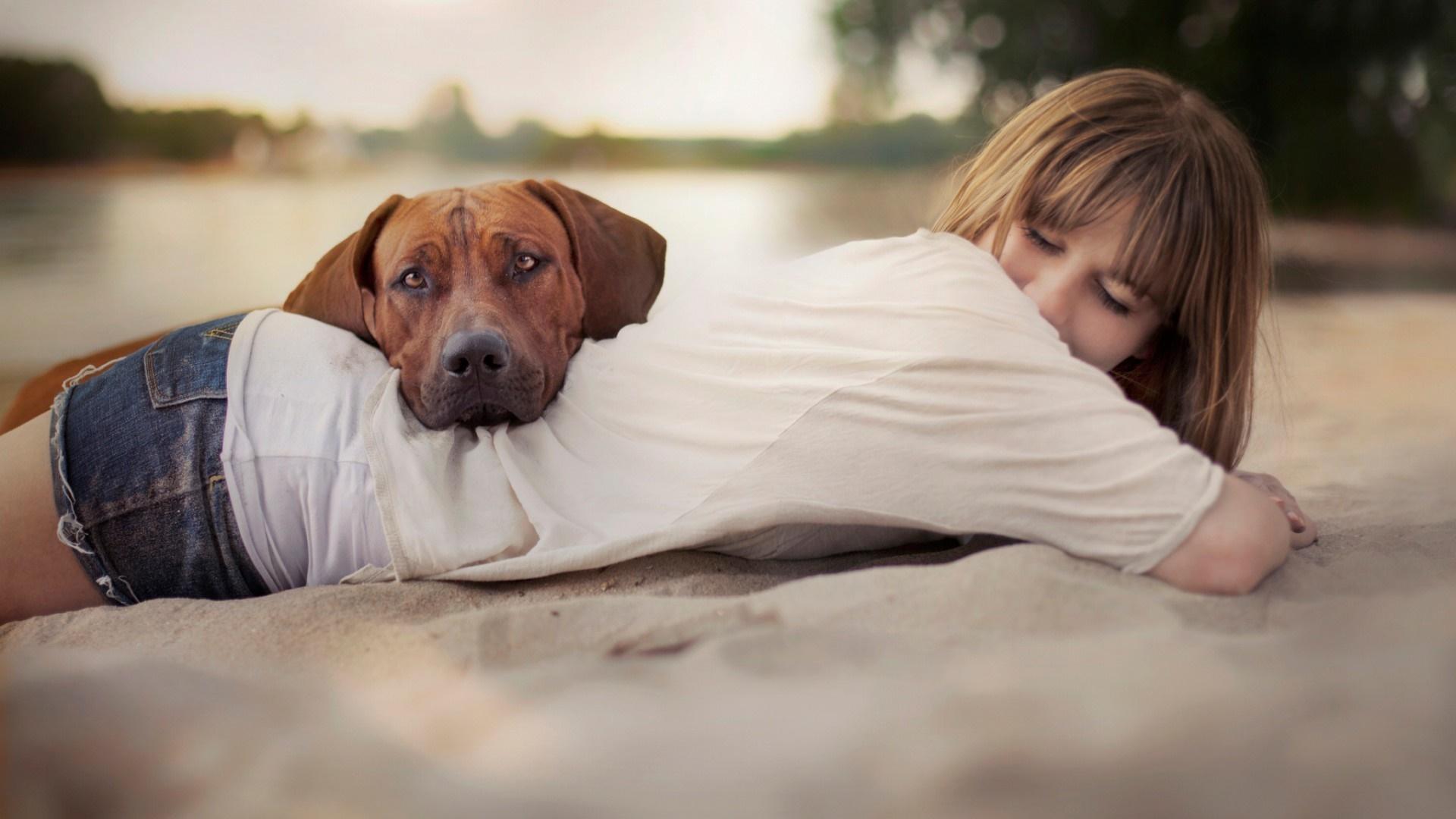 Dog and Human Wallpapers - Top Free Dog and Human Backgrounds ...