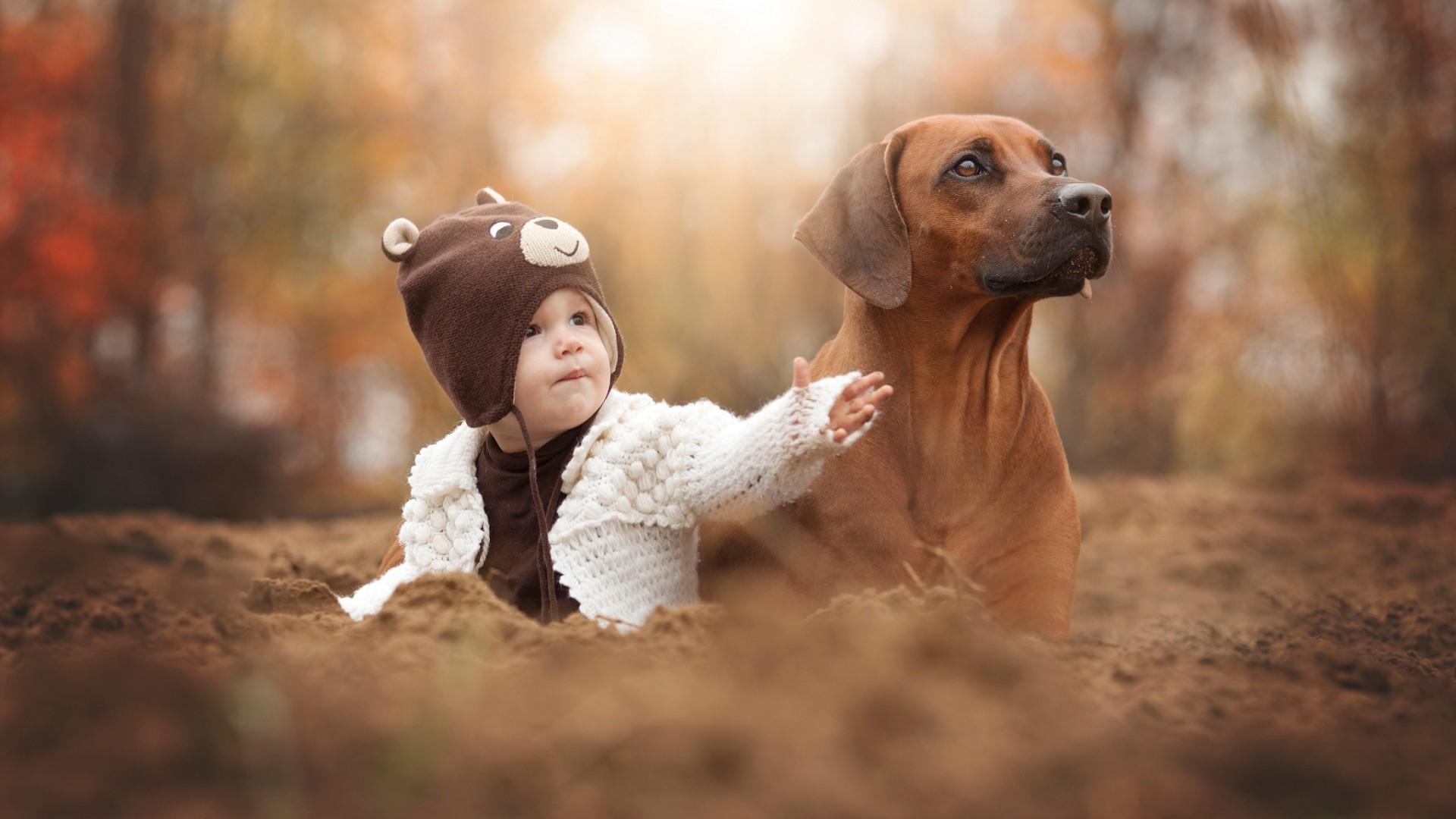 Dog and Human Wallpapers - Top Free Dog and Human Backgrounds ...
