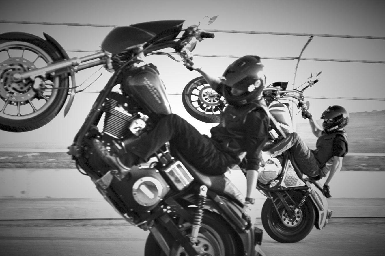 Harley Wheelie Wallpapers - Top Free Harley Wheelie Backgrounds ...