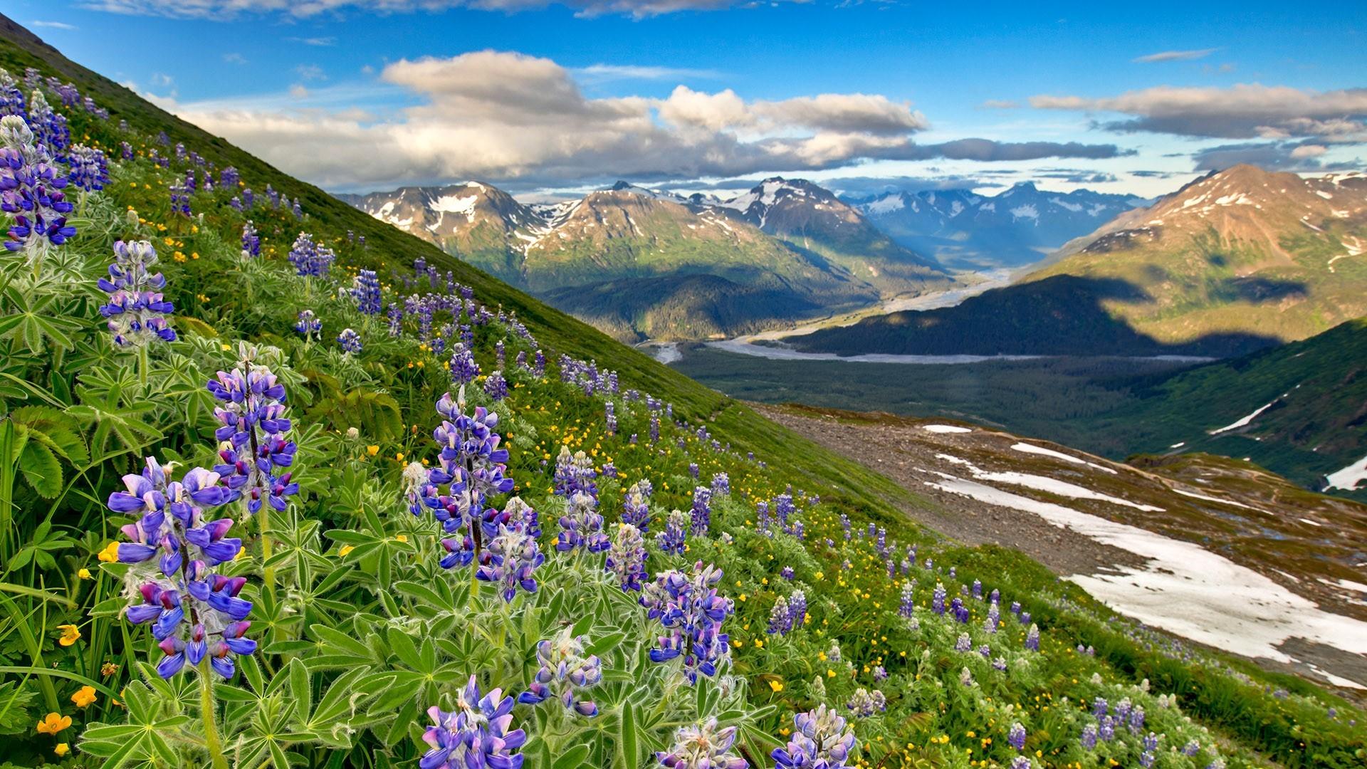 Alaska Wilderness Wallpapers - Top Free Alaska Wilderness Backgrounds ...