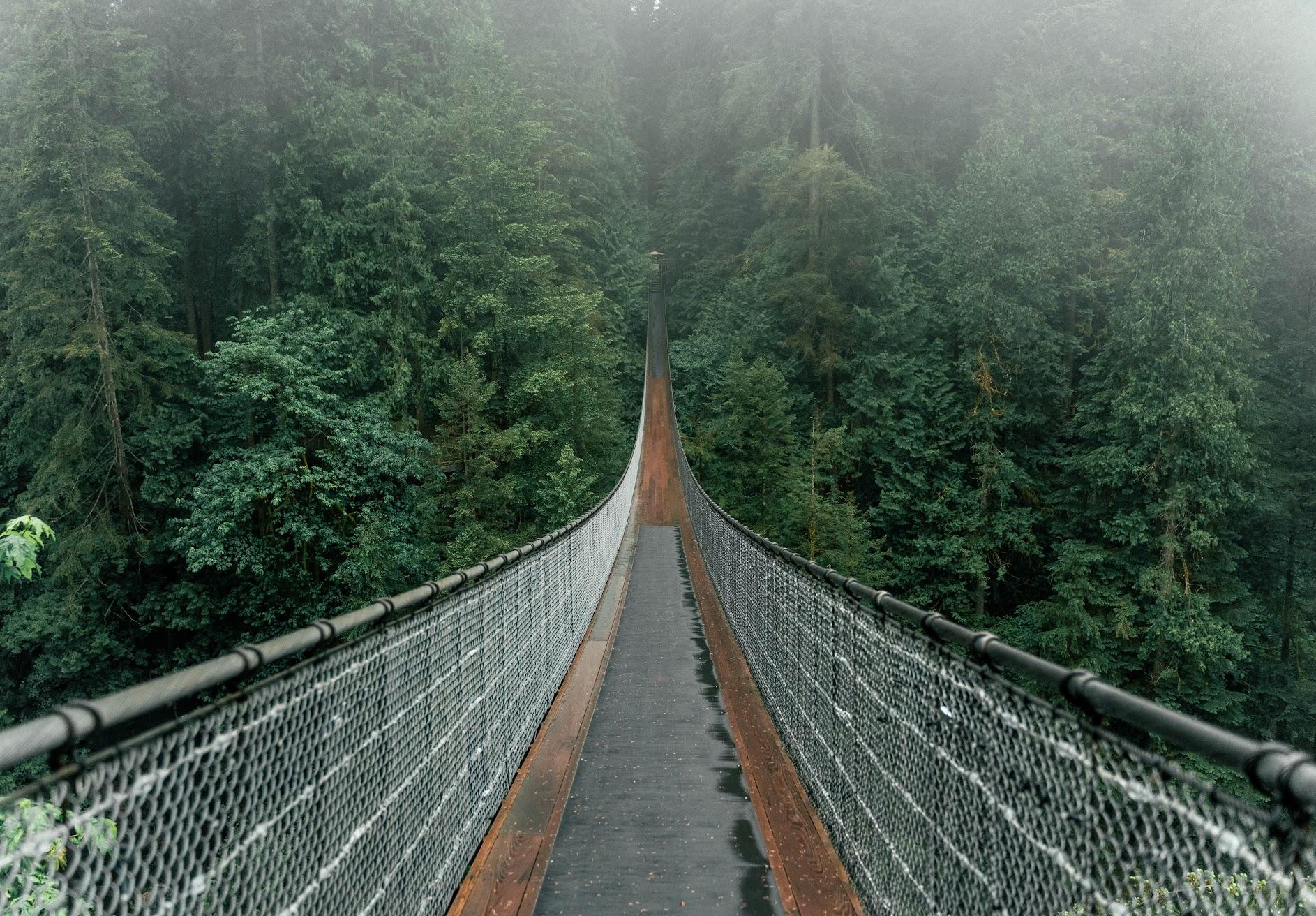 Capilano Suspension Bridge Wallpapers - Top Free Capilano Suspension ...