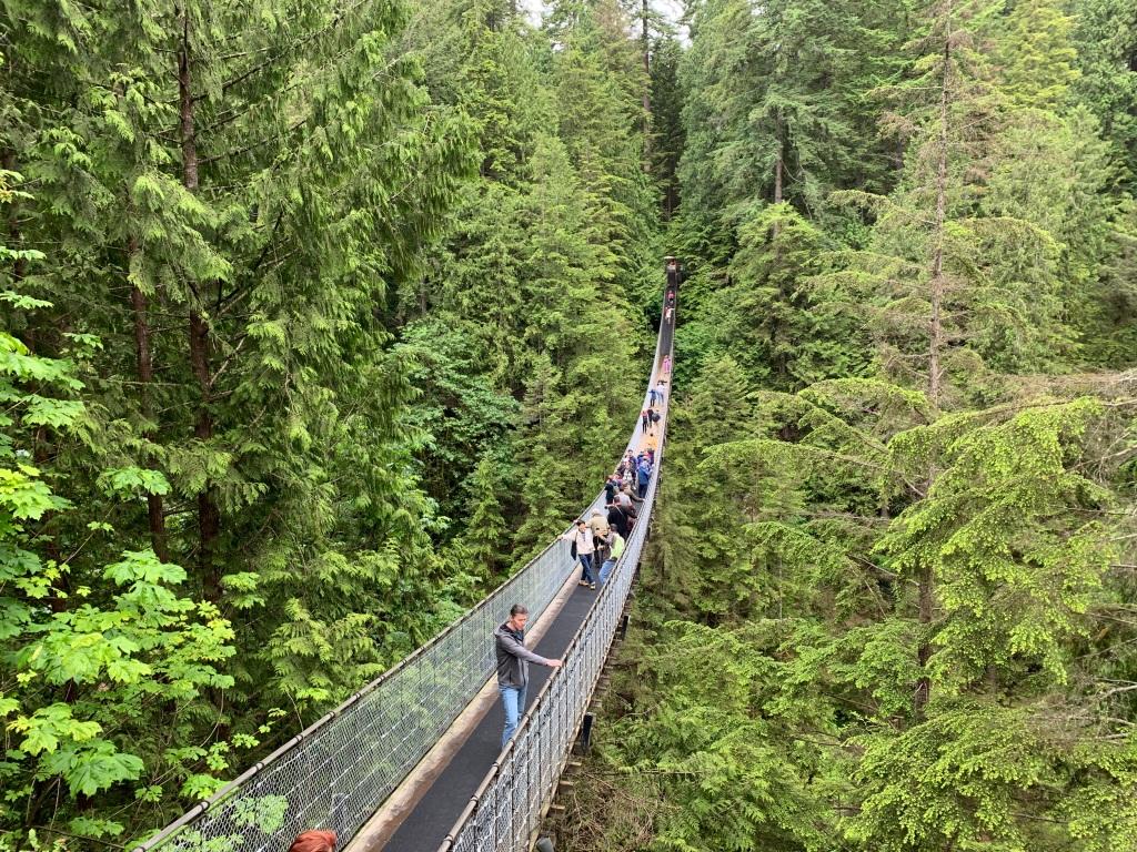 Capilano Suspension Bridge Wallpapers - Top Free Capilano Suspension ...