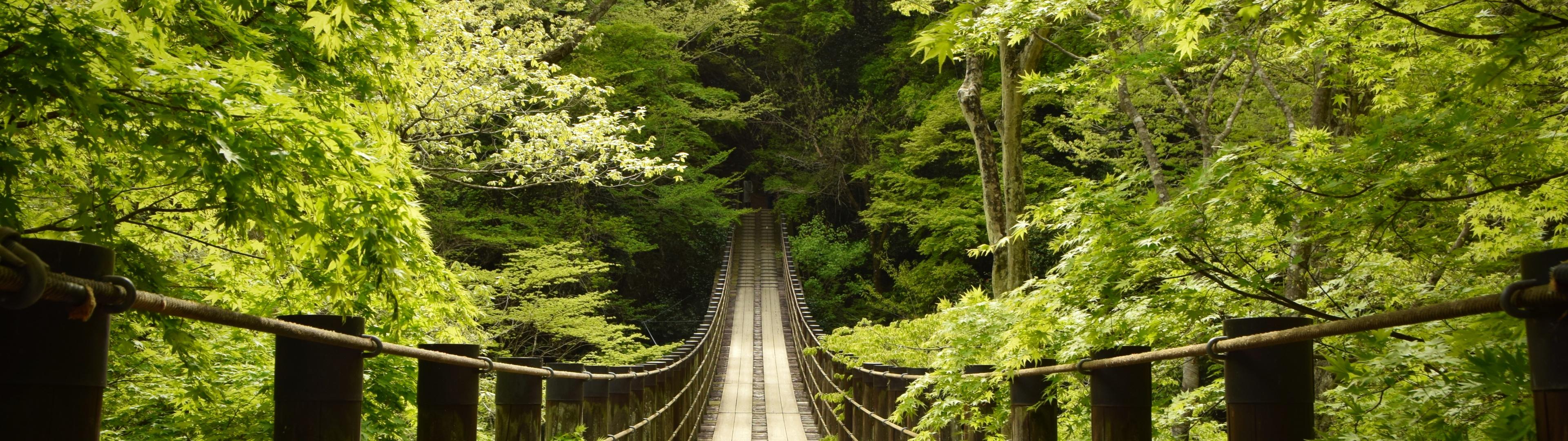 Capilano Suspension Bridge Wallpapers - Top Free Capilano Suspension ...