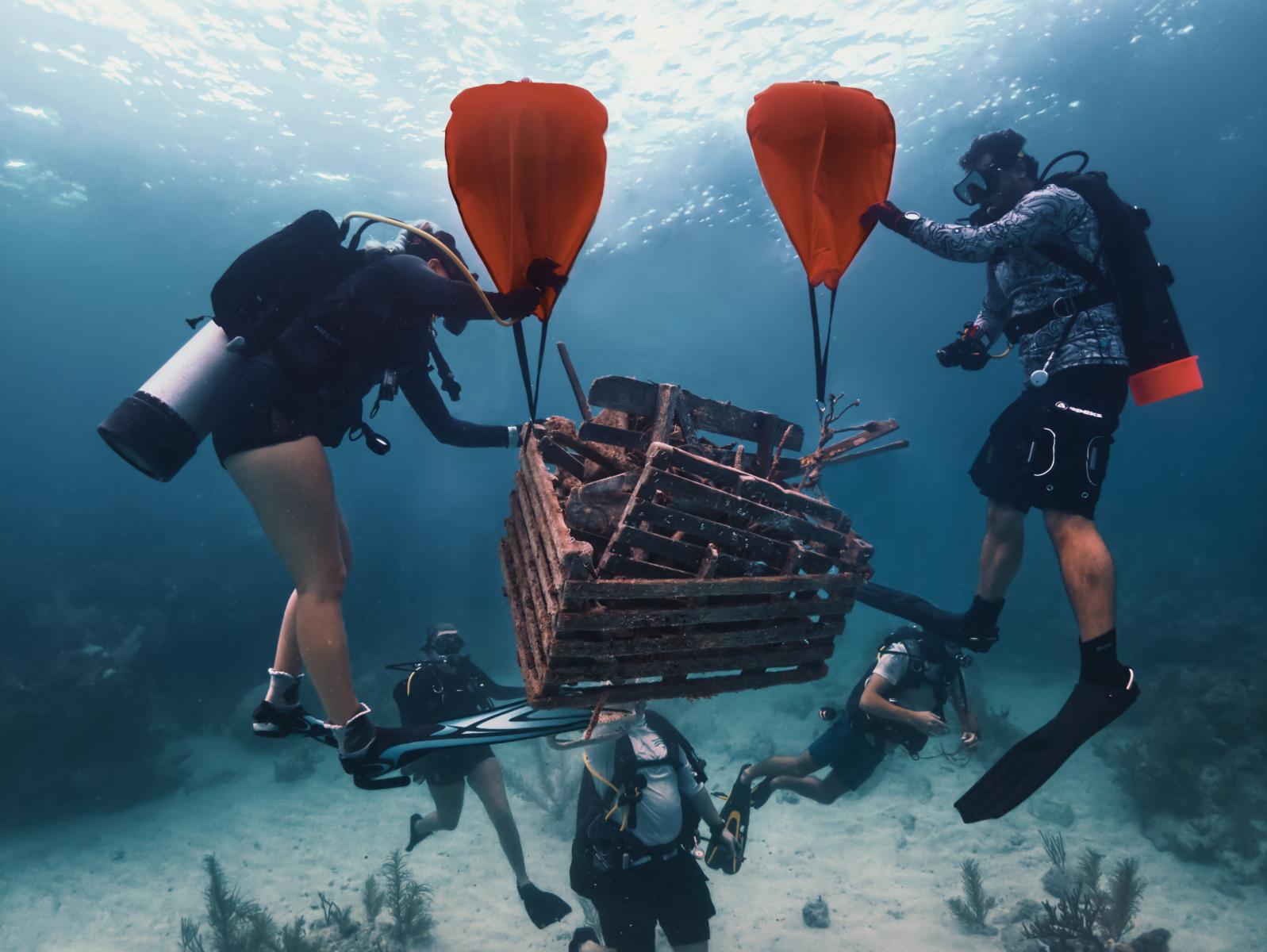 Navy Diver Wallpapers - Top Free Navy Diver Backgrounds - WallpaperAccess