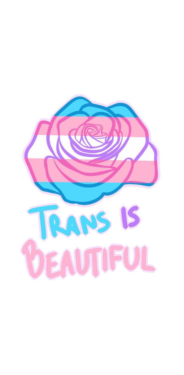 Transgender Aesthetic Wallpapers - Top Free Transgender Aesthetic ...