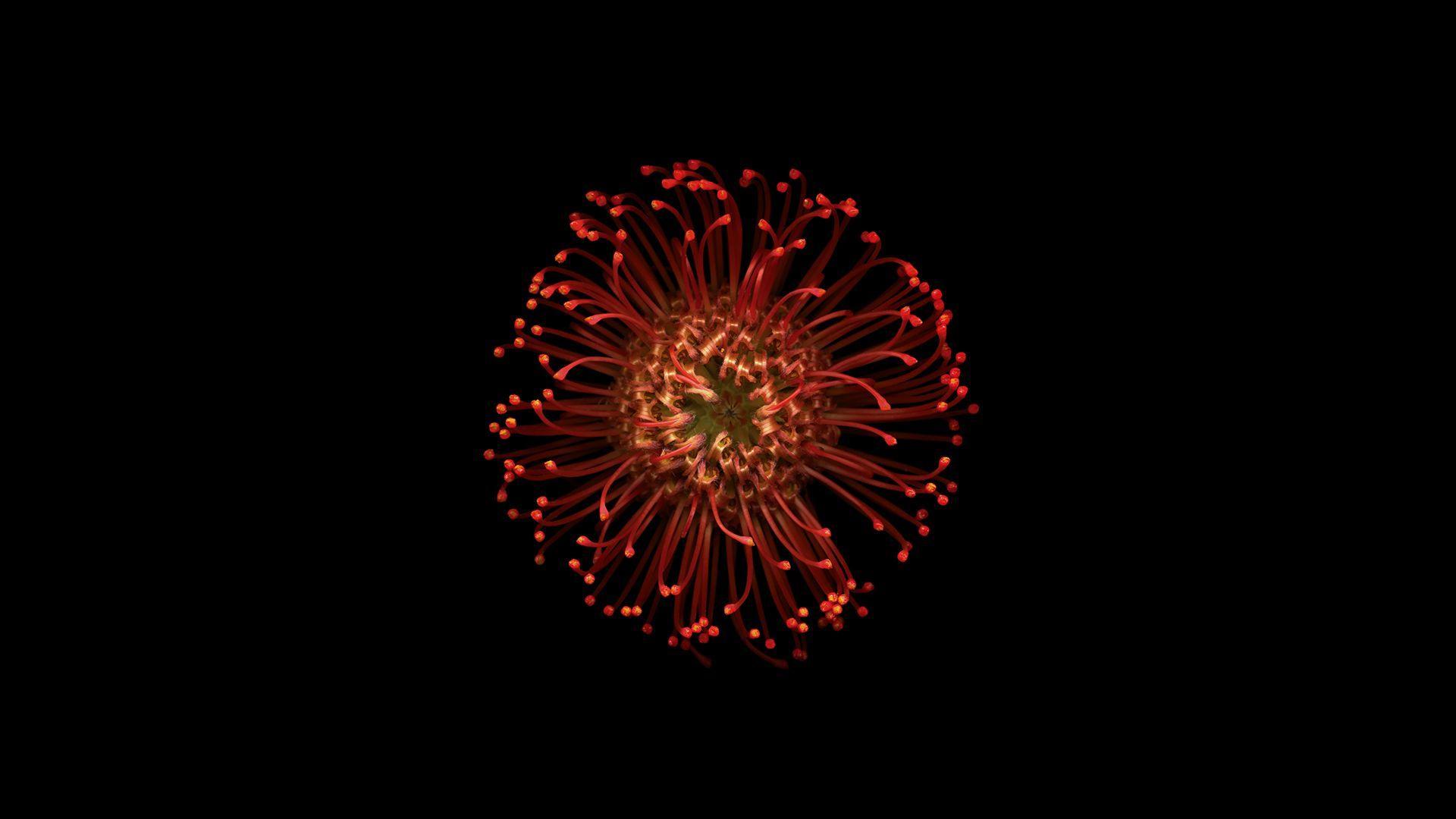 iOS Desktop Wallpapers - Top Free iOS Desktop Backgrounds - WallpaperAccess