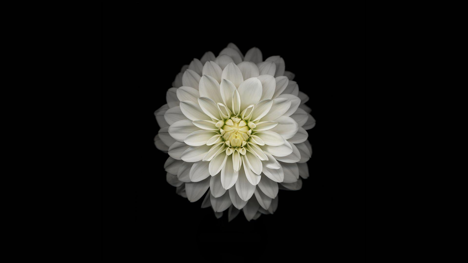 iOS Desktop Wallpapers - Top Free iOS Desktop Backgrounds - WallpaperAccess