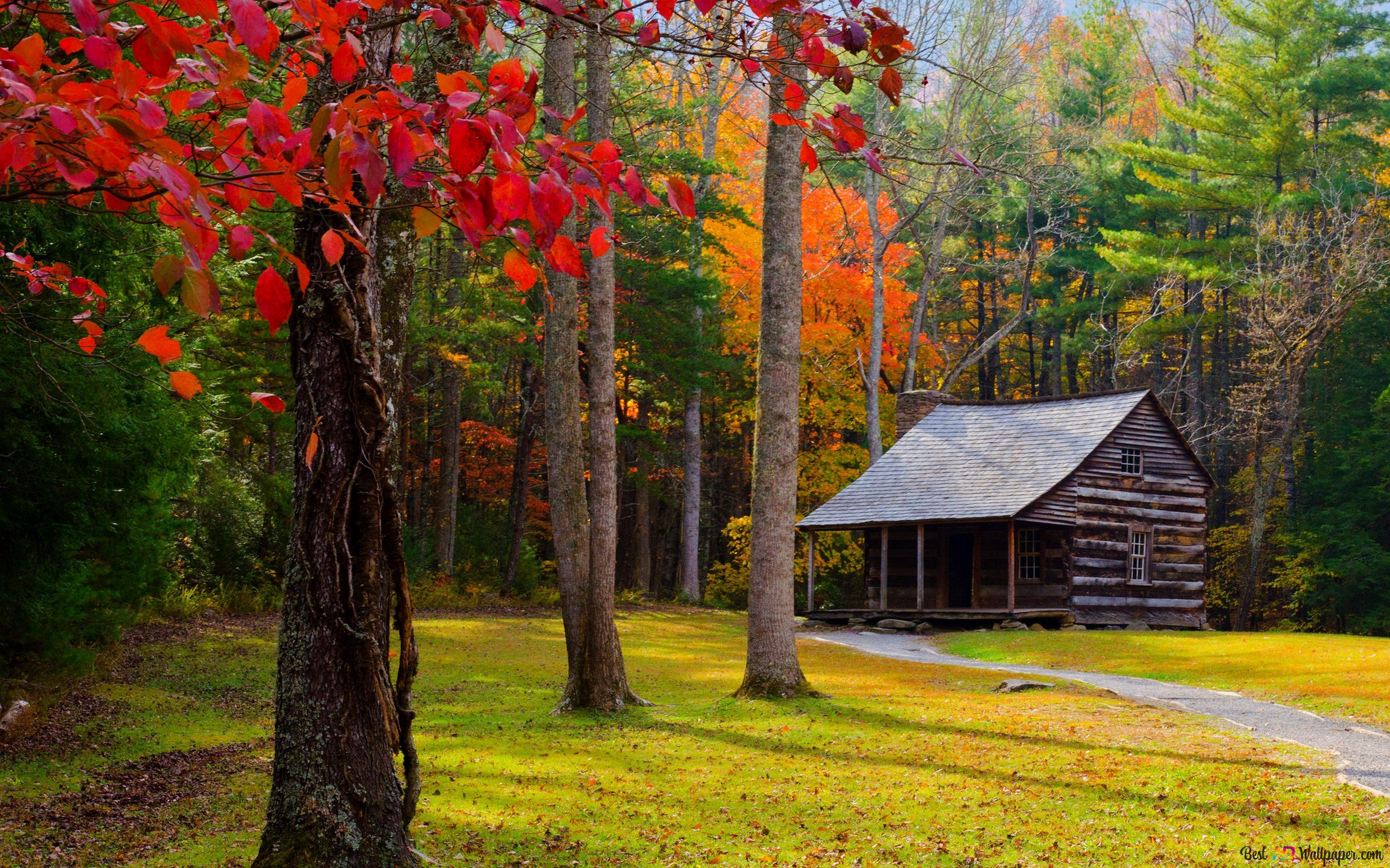 House in Forest Wallpapers - Top Free House in Forest Backgrounds ...