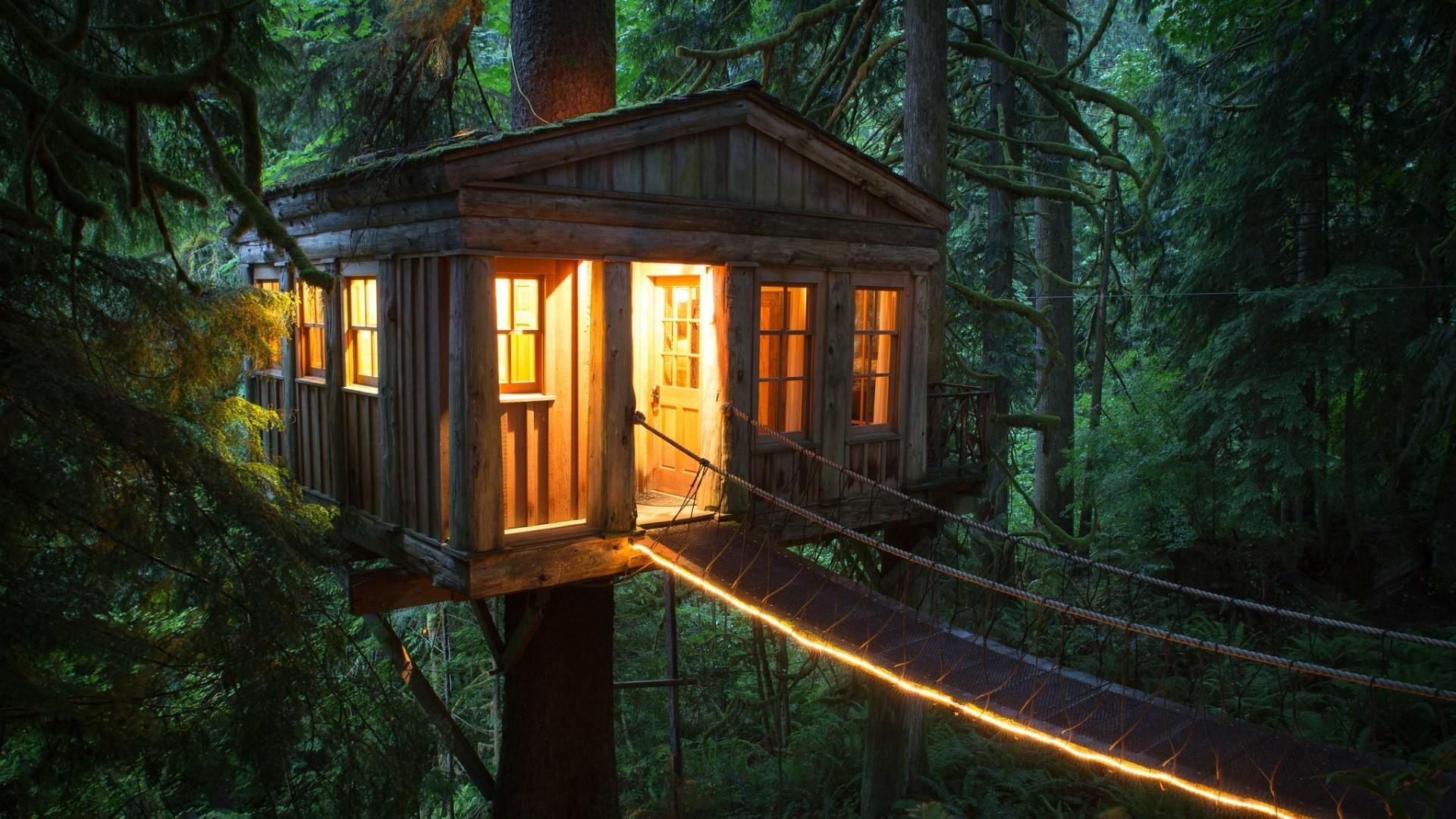 House in Forest Wallpapers - Top Free House in Forest Backgrounds ...
