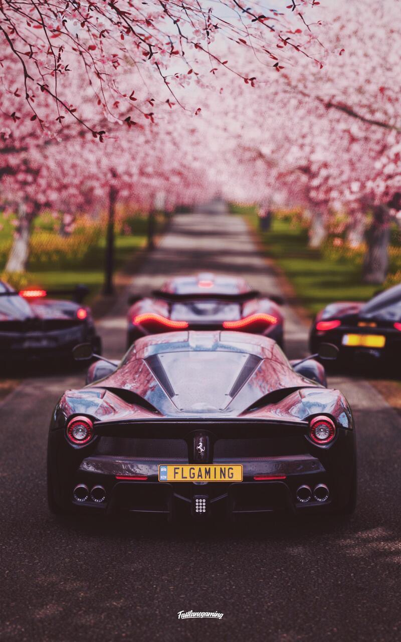 Forza Mobile Wallpapers - Top Free Forza Mobile Backgrounds ...