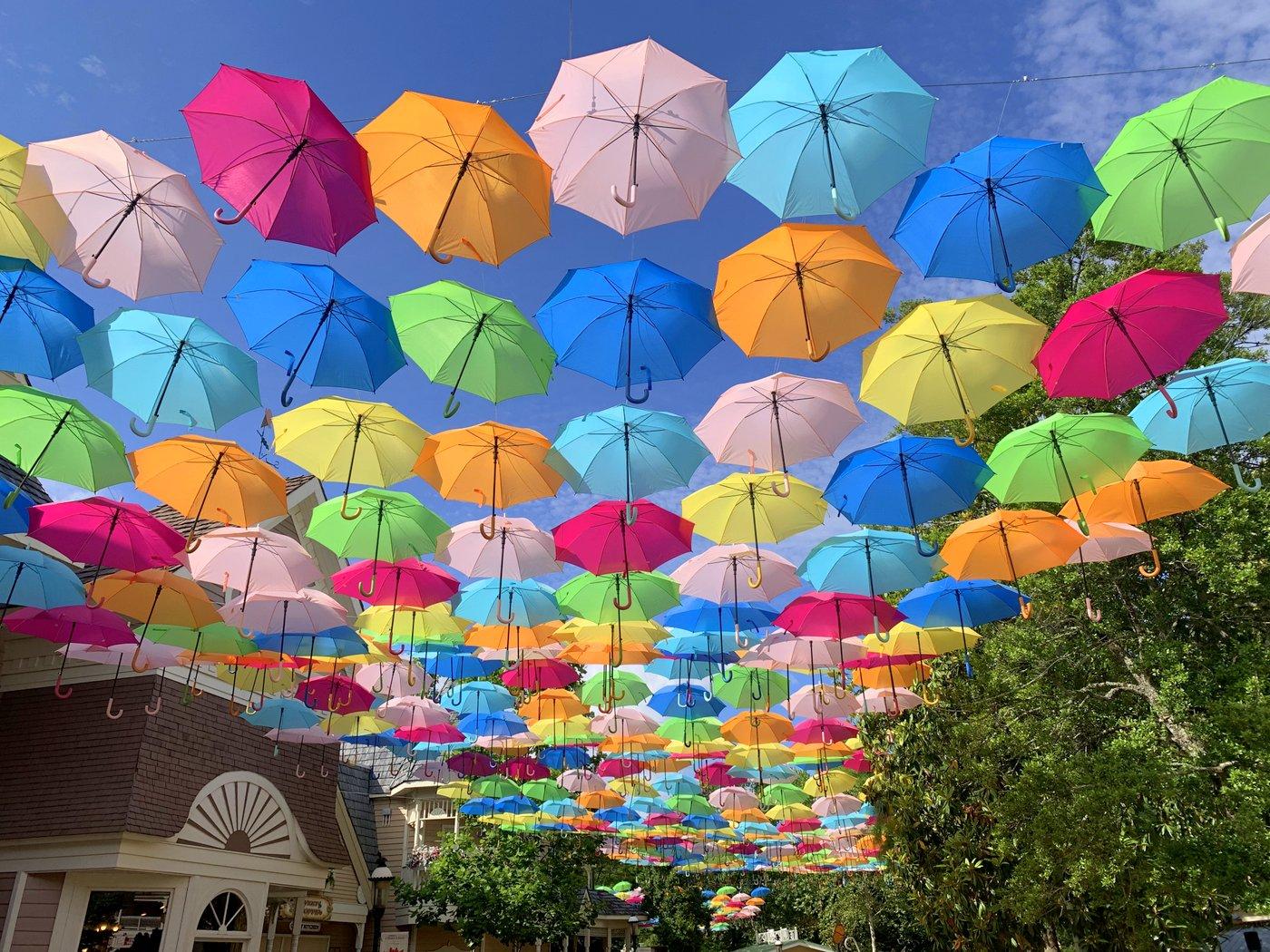 Dollywood Wallpapers - Top Free Dollywood Backgrounds - WallpaperAccess