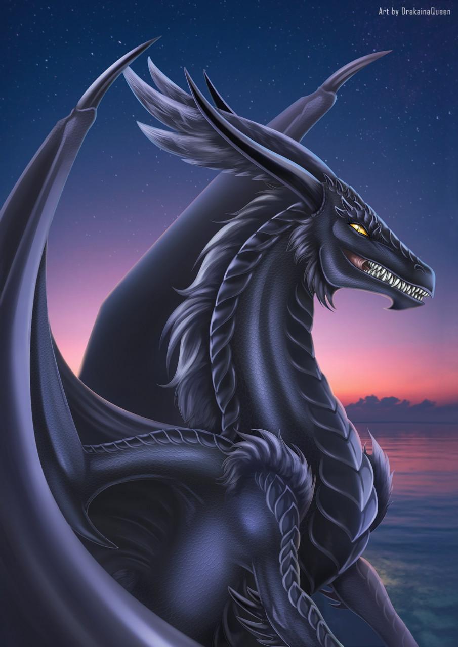 Portrait Dragon Wallpapers - Top Free Portrait Dragon Backgrounds ...