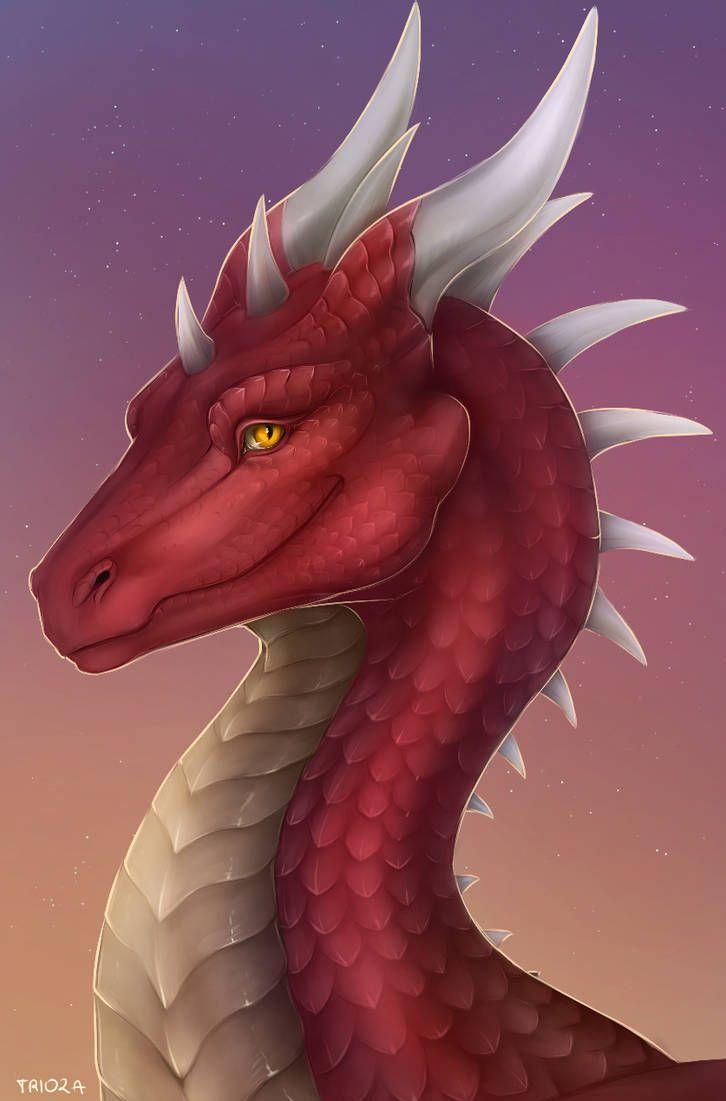 Portrait Dragon Wallpapers - Top Free Portrait Dragon Backgrounds ...