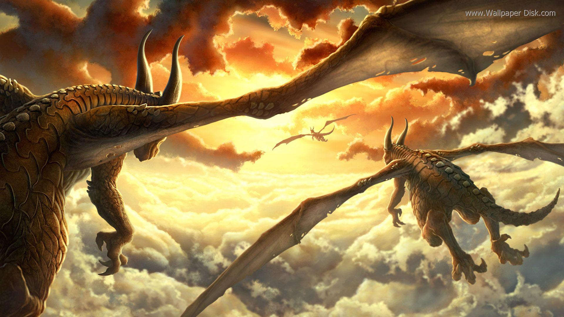 Portrait Dragon Wallpapers - Top Free Portrait Dragon Backgrounds ...