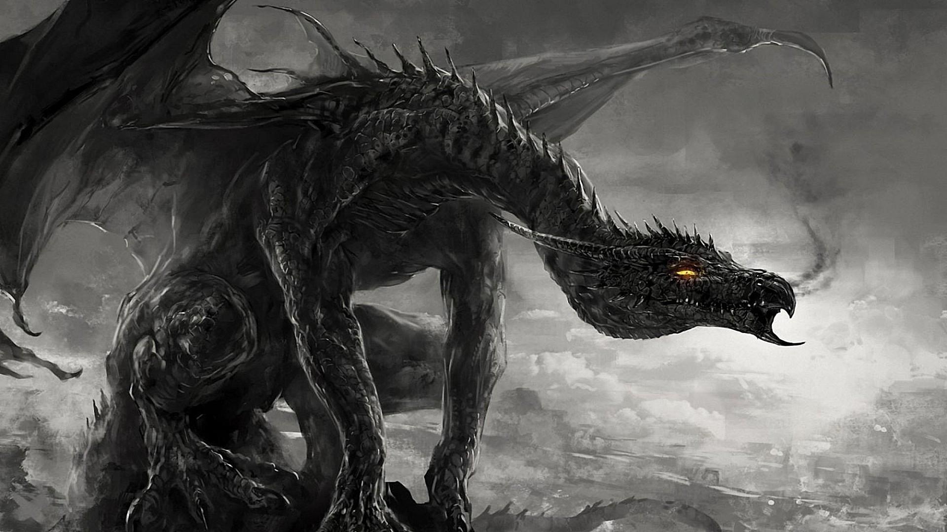 Portrait Dragon Wallpapers - Top Free Portrait Dragon Backgrounds ...