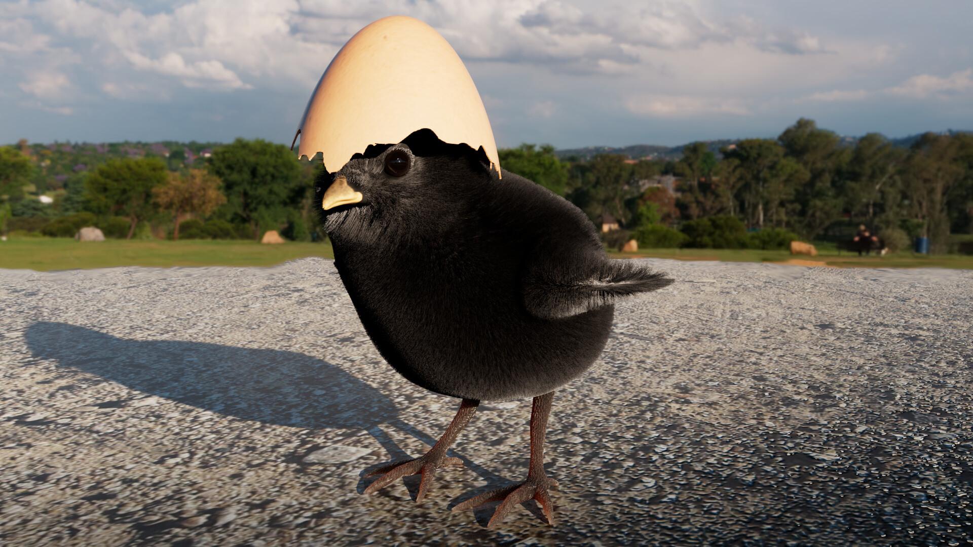 Calimero Wallpapers - Top Free Calimero Backgrounds - WallpaperAccess