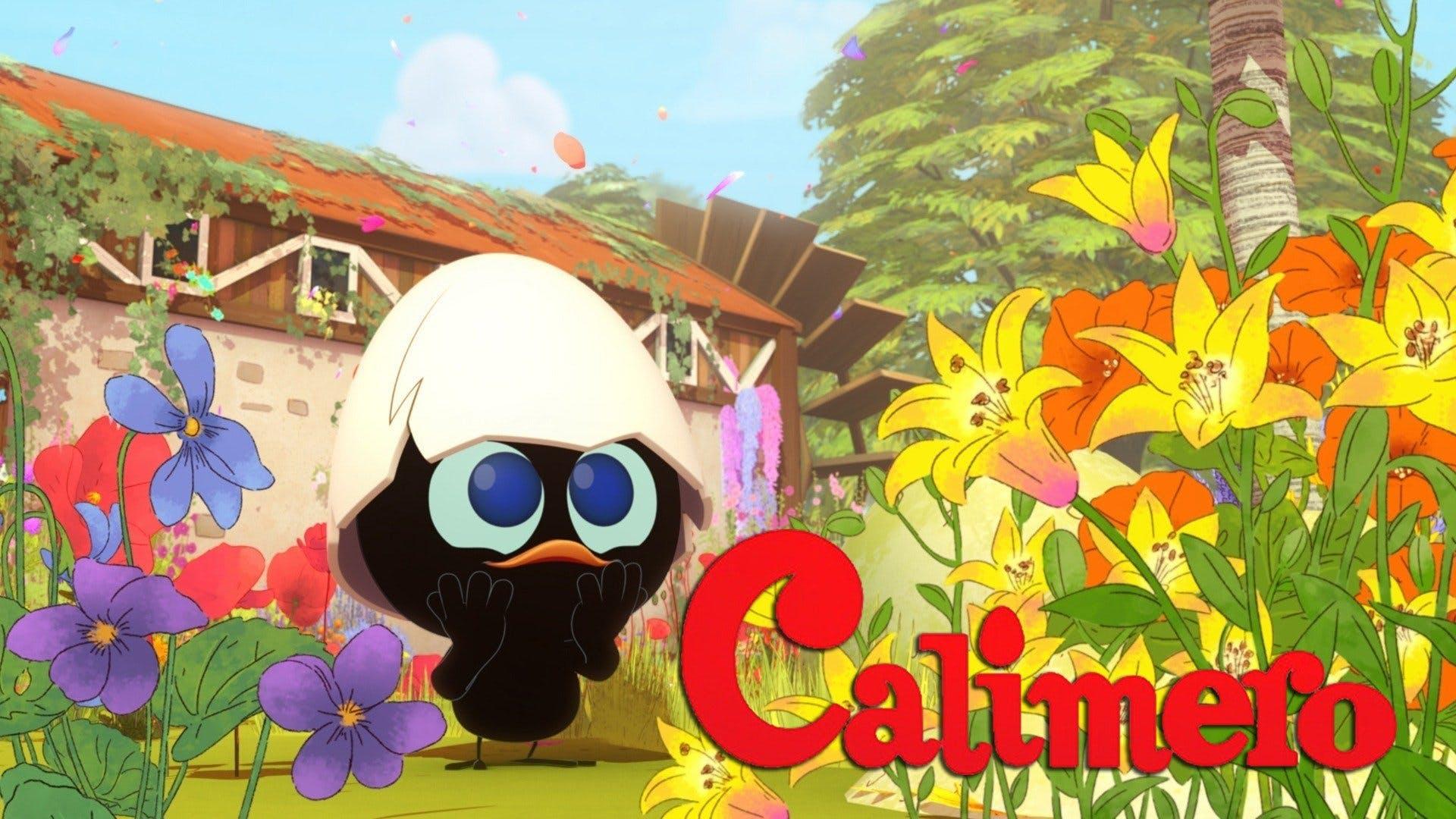 Calimero Wallpapers - Top Free Calimero Backgrounds - WallpaperAccess