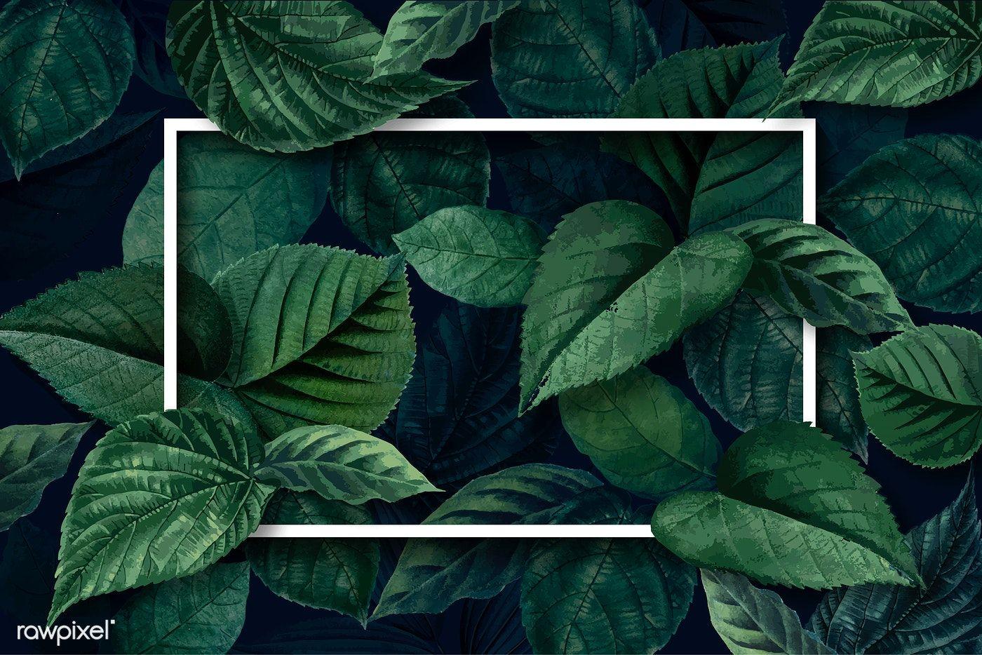 Green Leaf Desktop Wallpapers - Top Free Green Leaf Desktop Backgrounds ...