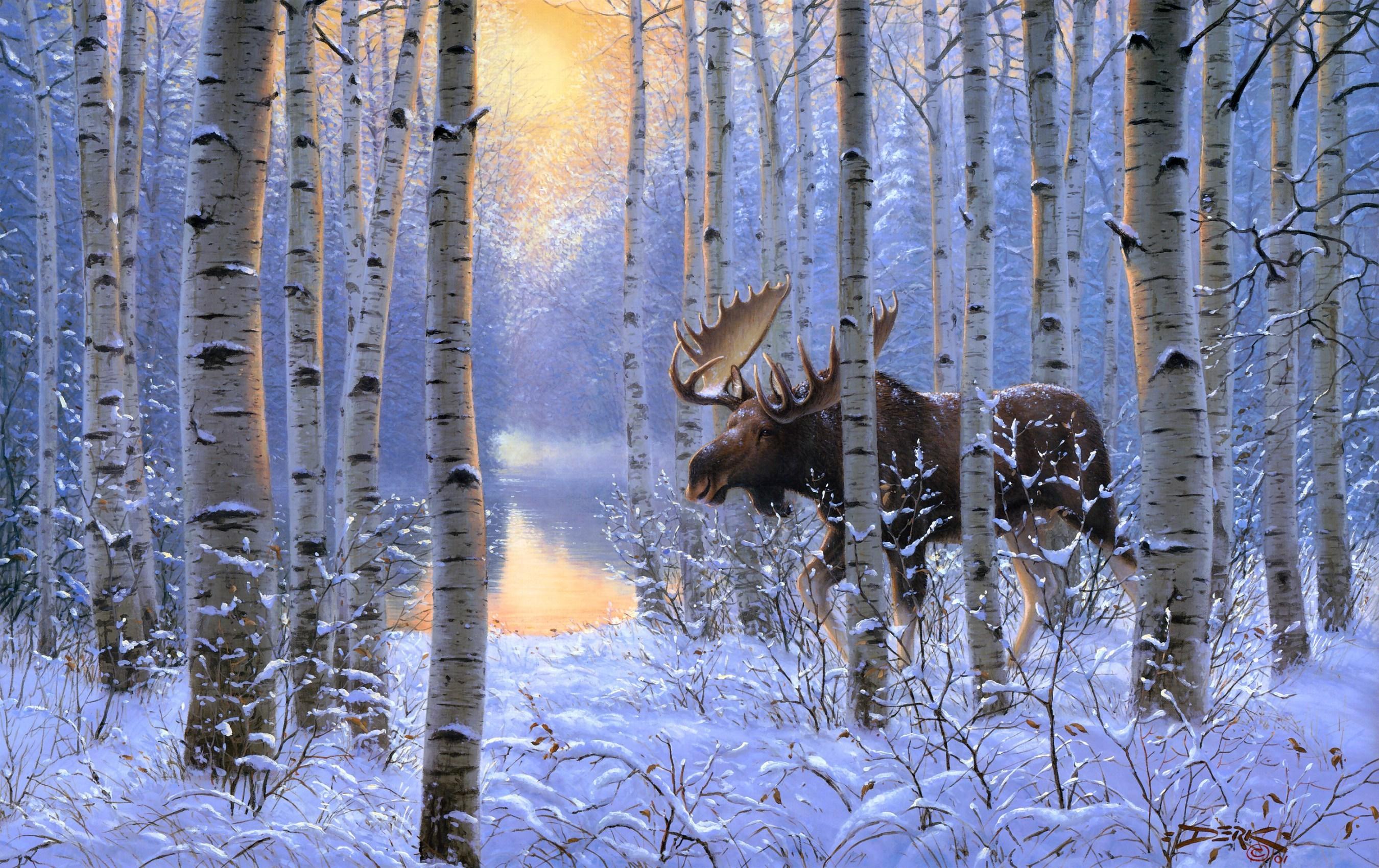 Winter Elk Wallpapers - Top Free Winter Elk Backgrounds - WallpaperAccess