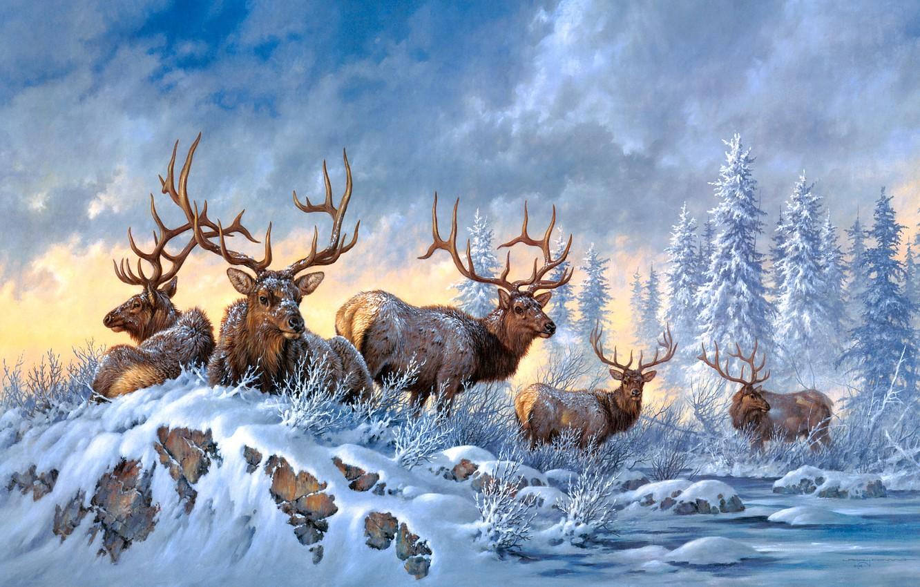 Winter Elk Wallpapers - Top Free Winter Elk Backgrounds - WallpaperAccess