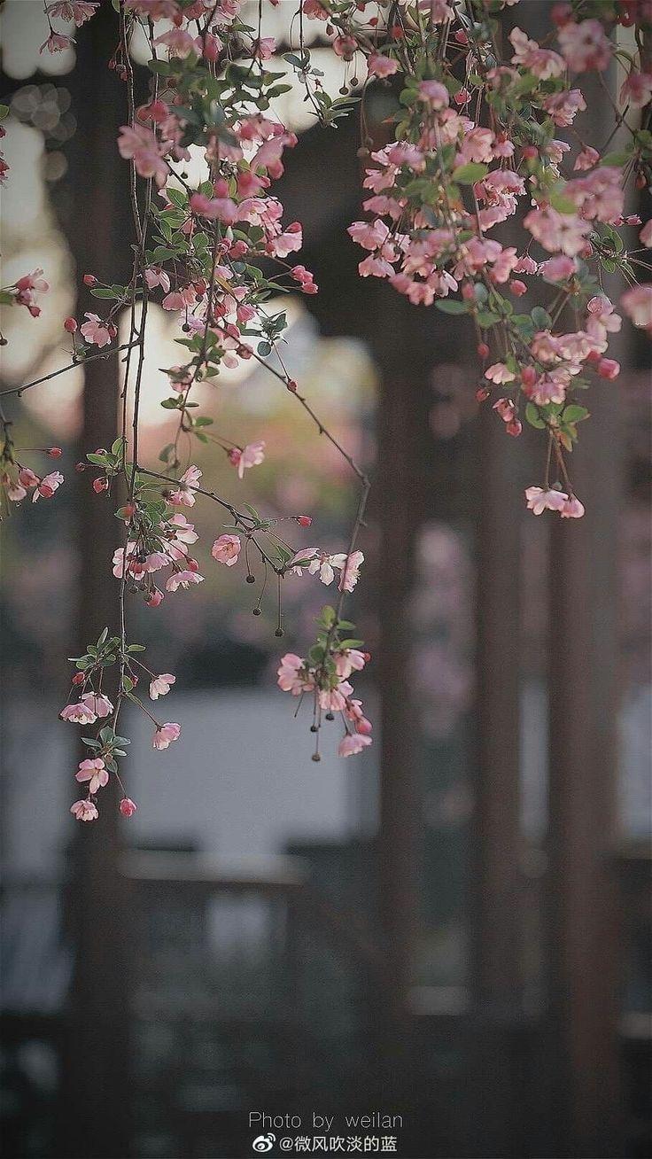 Korean Zen Wallpapers - Top Free Korean Zen Backgrounds - WallpaperAccess