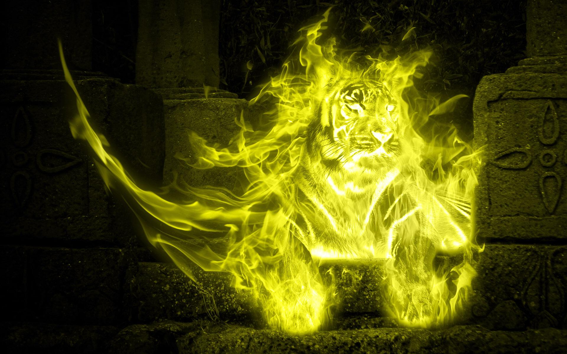 Yellow Fire Wallpaper