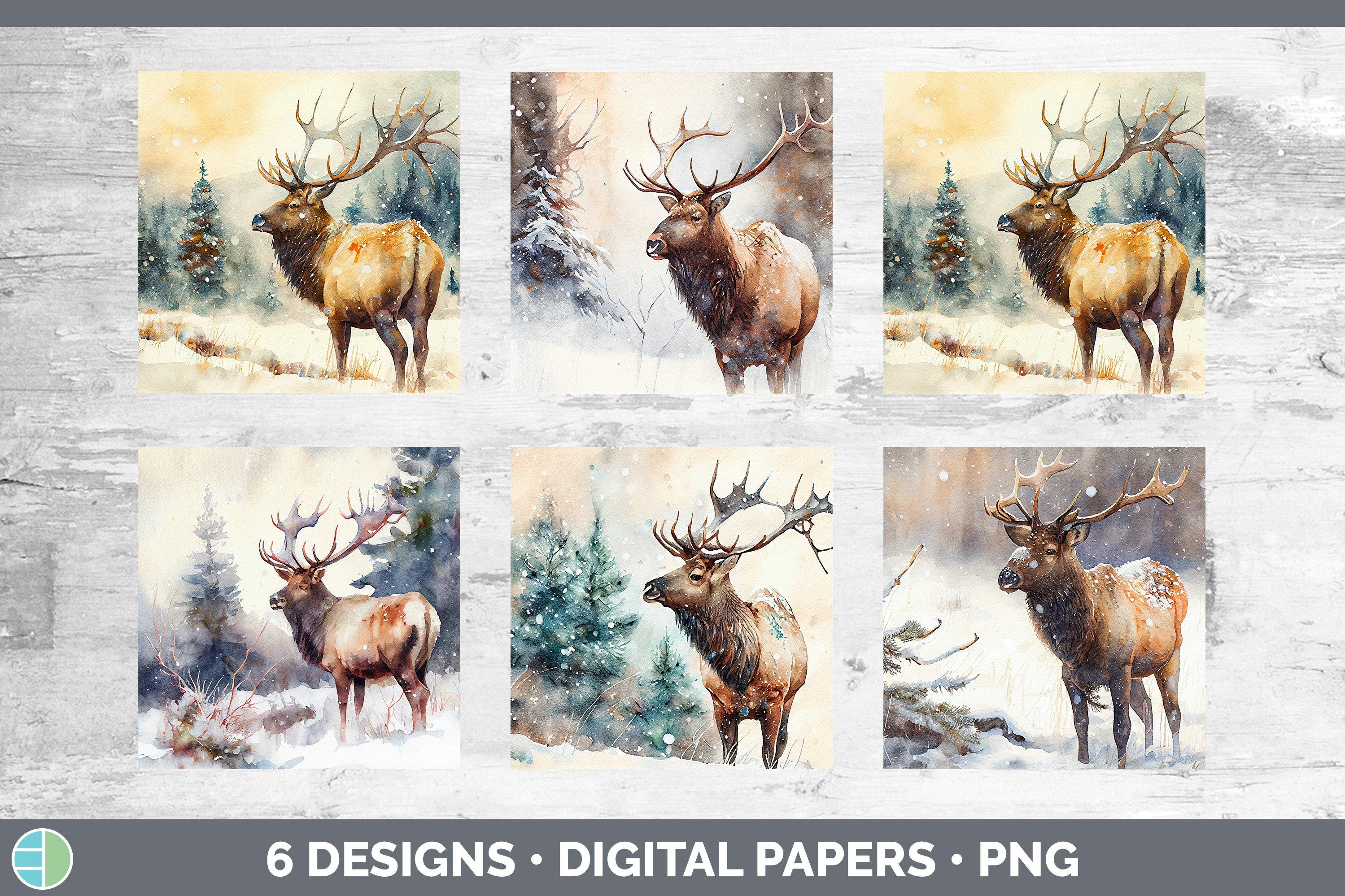 Winter Elk Wallpapers - Top Free Winter Elk Backgrounds - WallpaperAccess