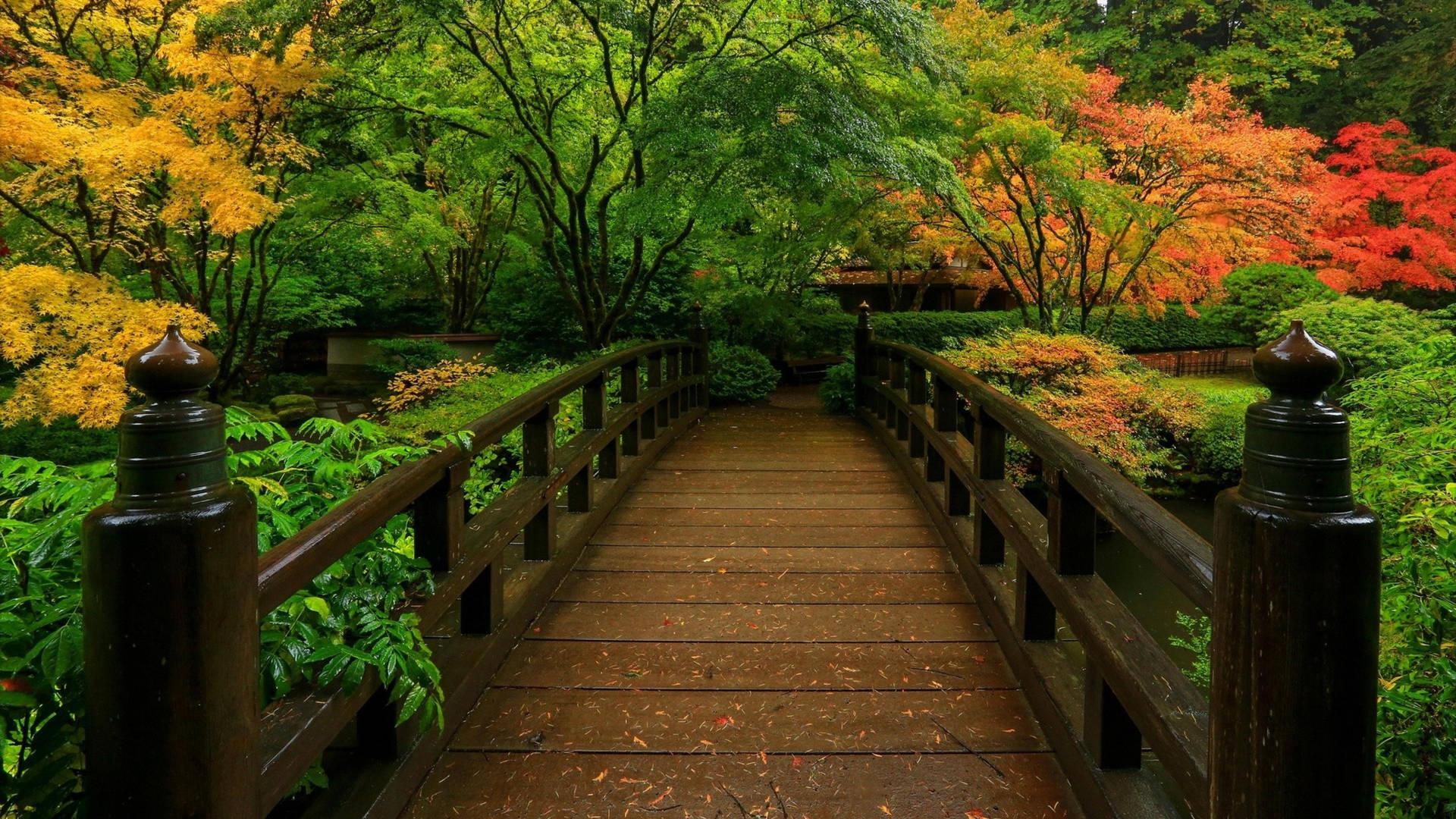 Korean Zen Wallpapers - Top Free Korean Zen Backgrounds - WallpaperAccess