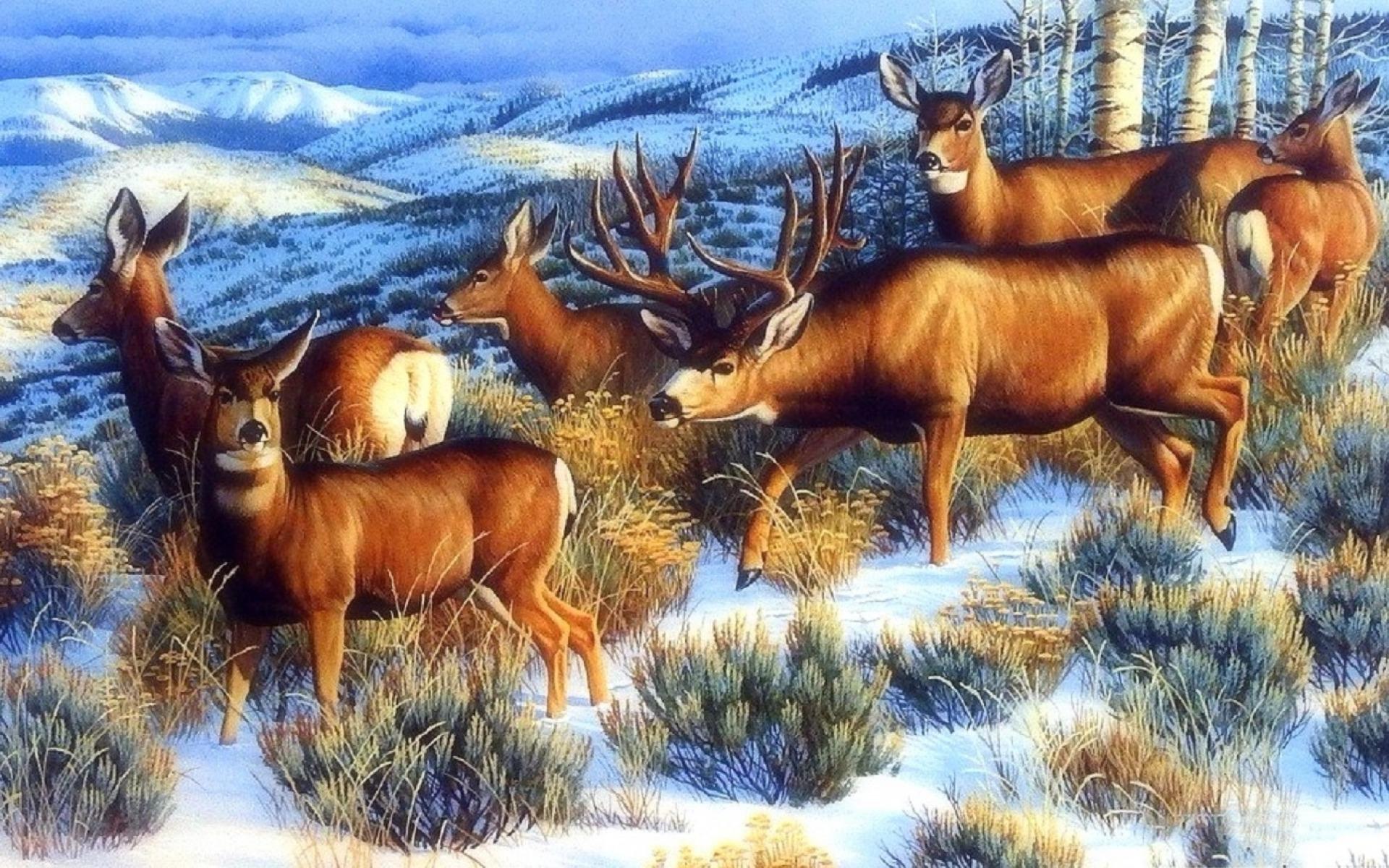 Winter Elk Wallpapers - Top Free Winter Elk Backgrounds - WallpaperAccess