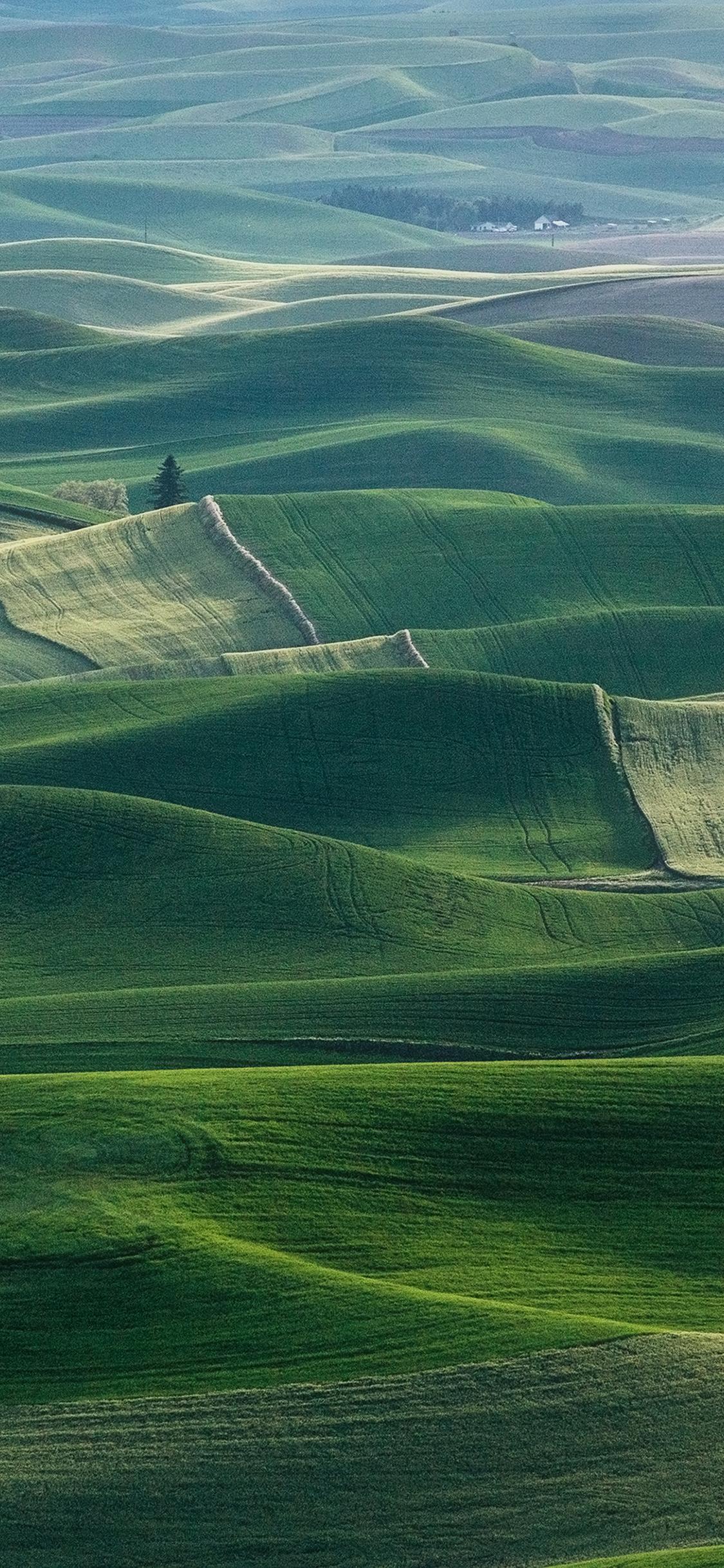 Earthy Green Wallpapers - Top Free Earthy Green Backgrounds ...