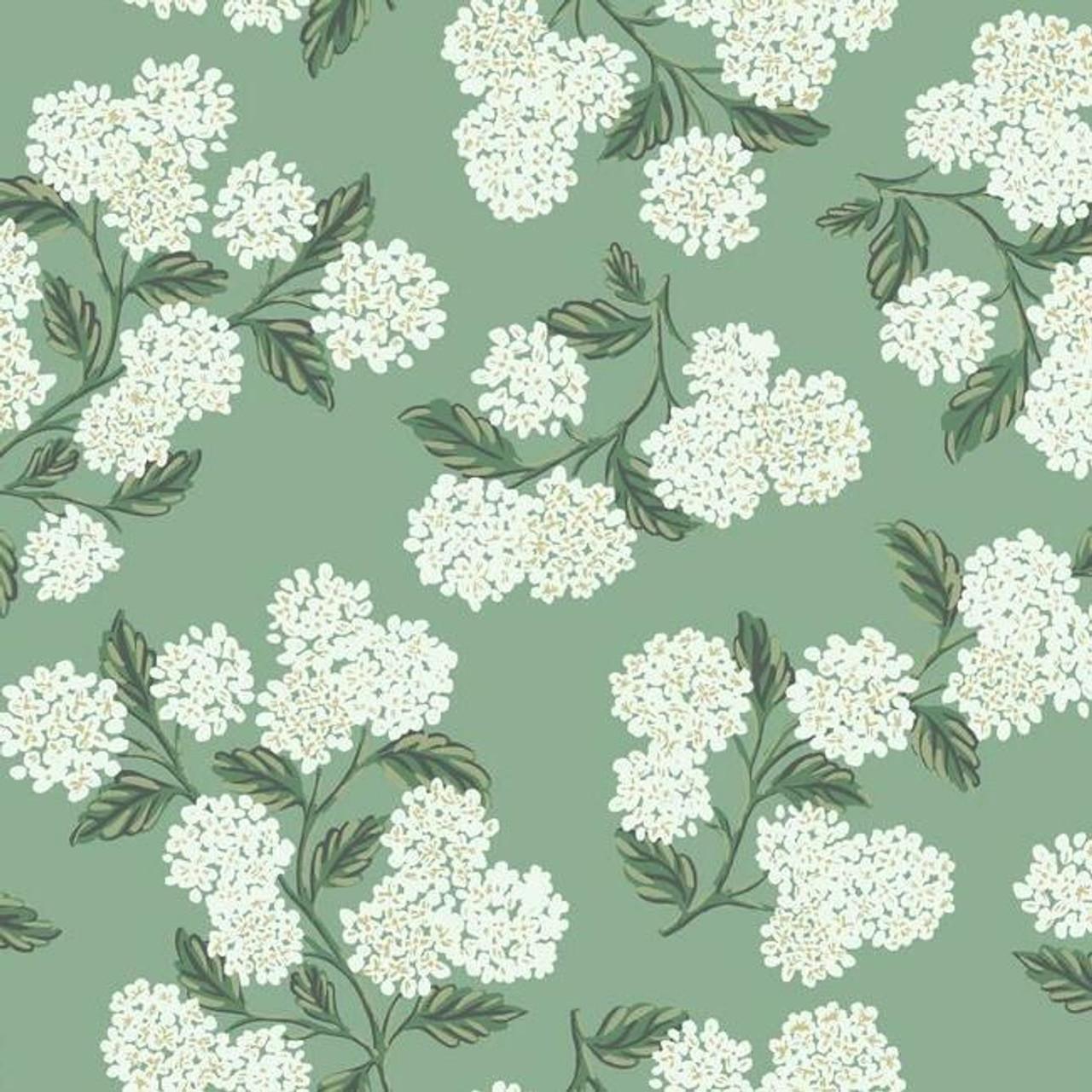 Earthy Green Wallpapers - Top Free Earthy Green Backgrounds ...