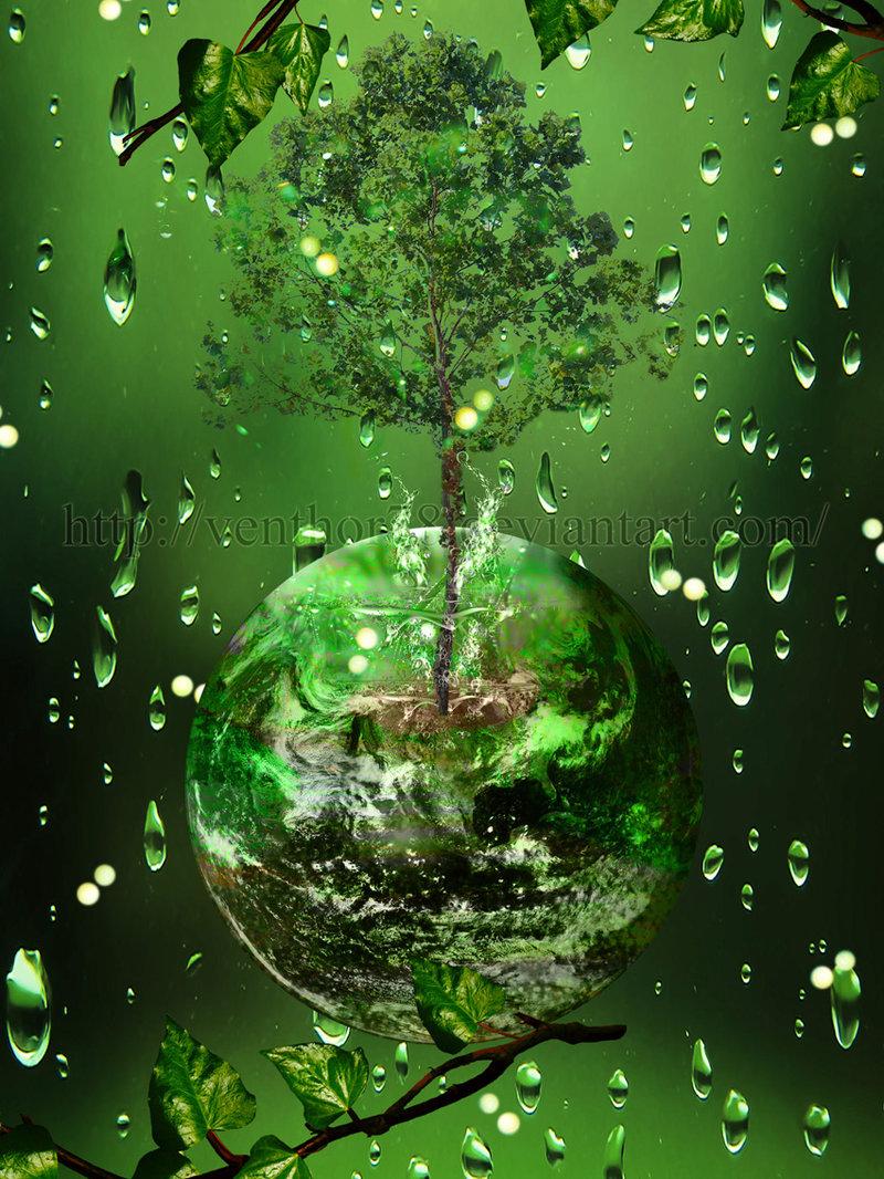 Earthy Green Wallpapers - Top Free Earthy Green Backgrounds ...
