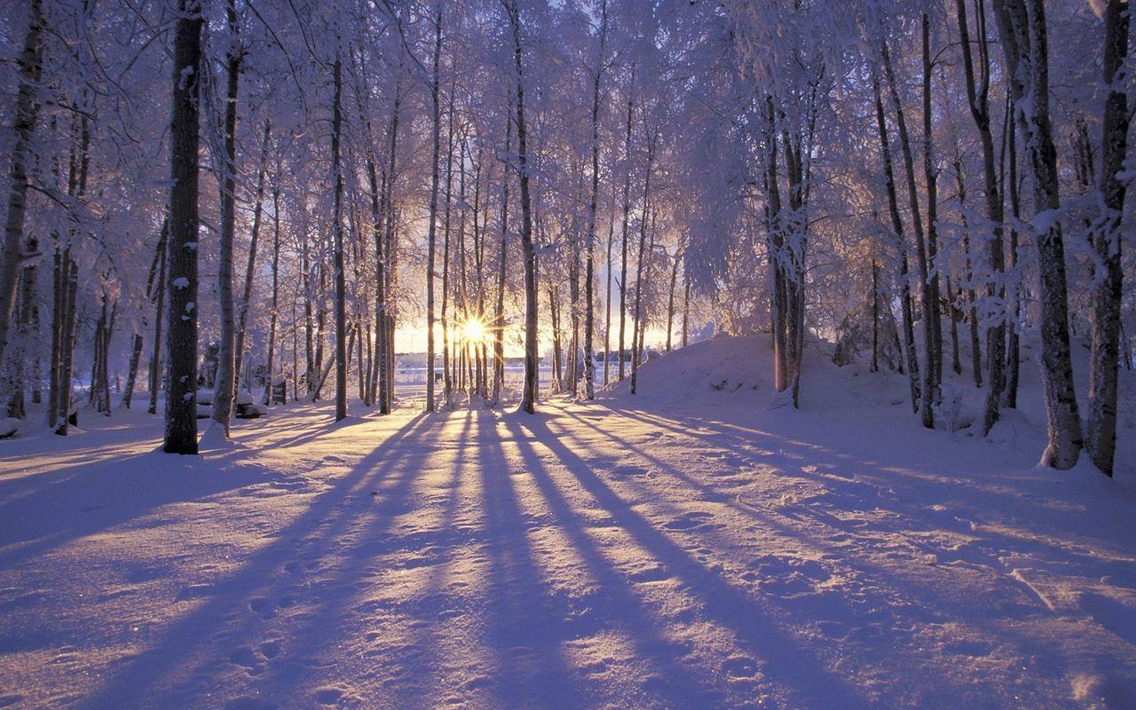 Zen Winter Wallpapers - Top Free Zen Winter Backgrounds - WallpaperAccess
