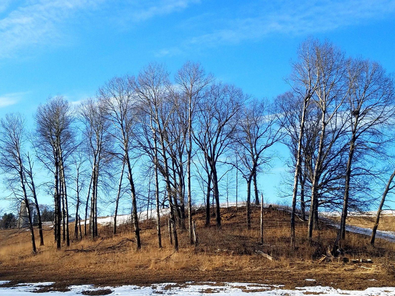 Zen Winter Wallpapers - Top Free Zen Winter Backgrounds - WallpaperAccess